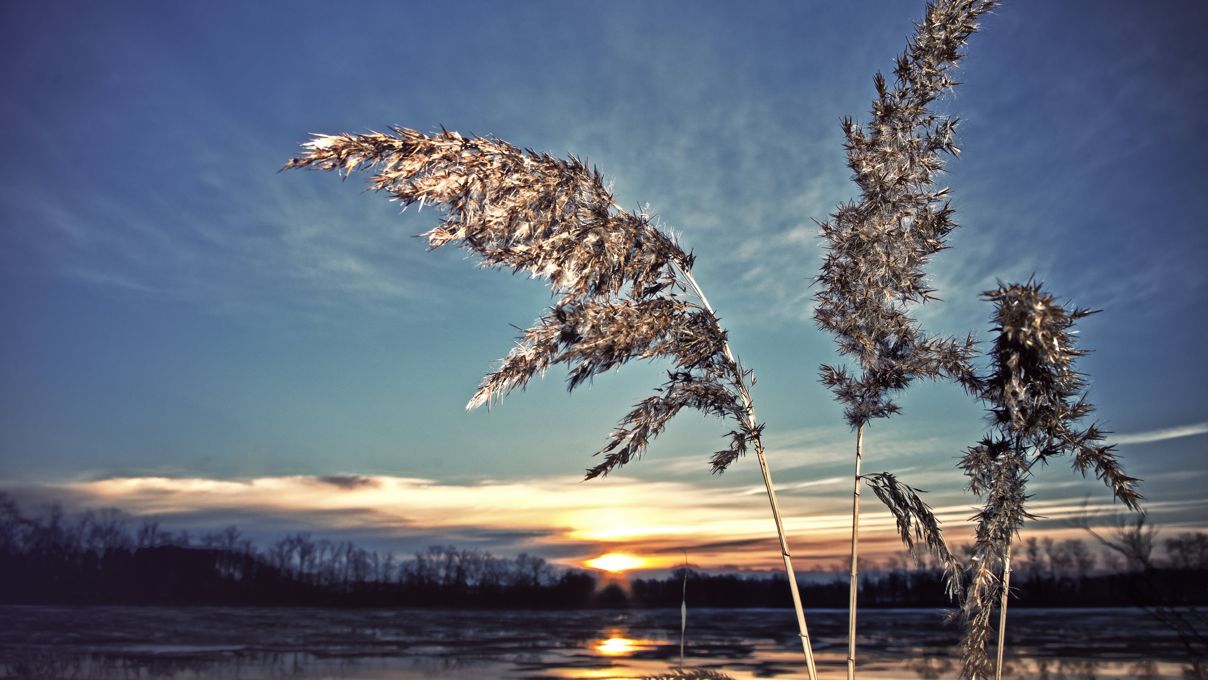 Download Nature Winter 4k Ultra HD Wallpaper