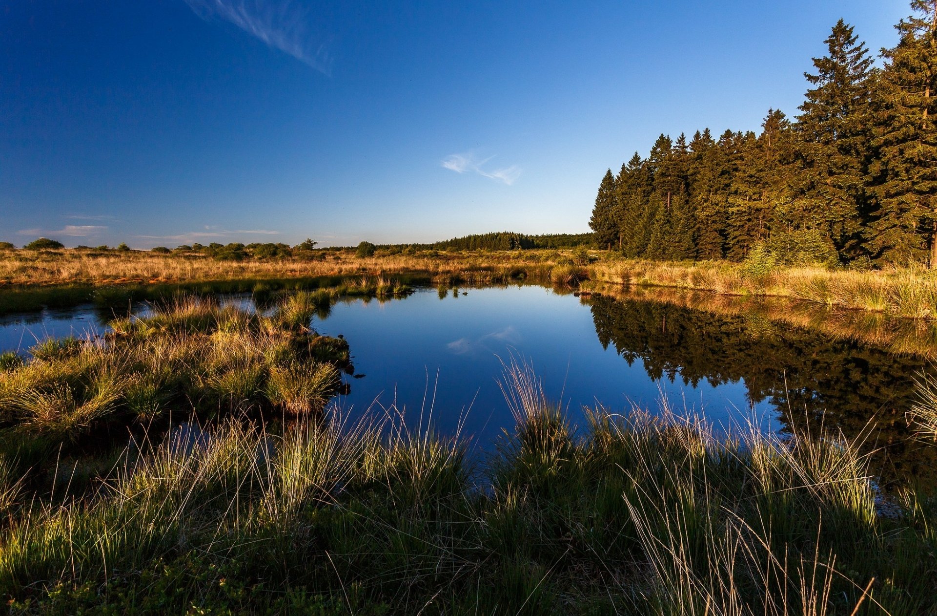 Download Sky Forest River Summer Nature Landscape HD Wallpaper