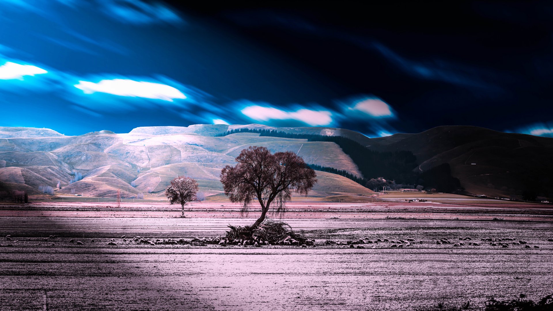 Stunning Nature Landscape HD Wallpaper by Shontz Photography ...