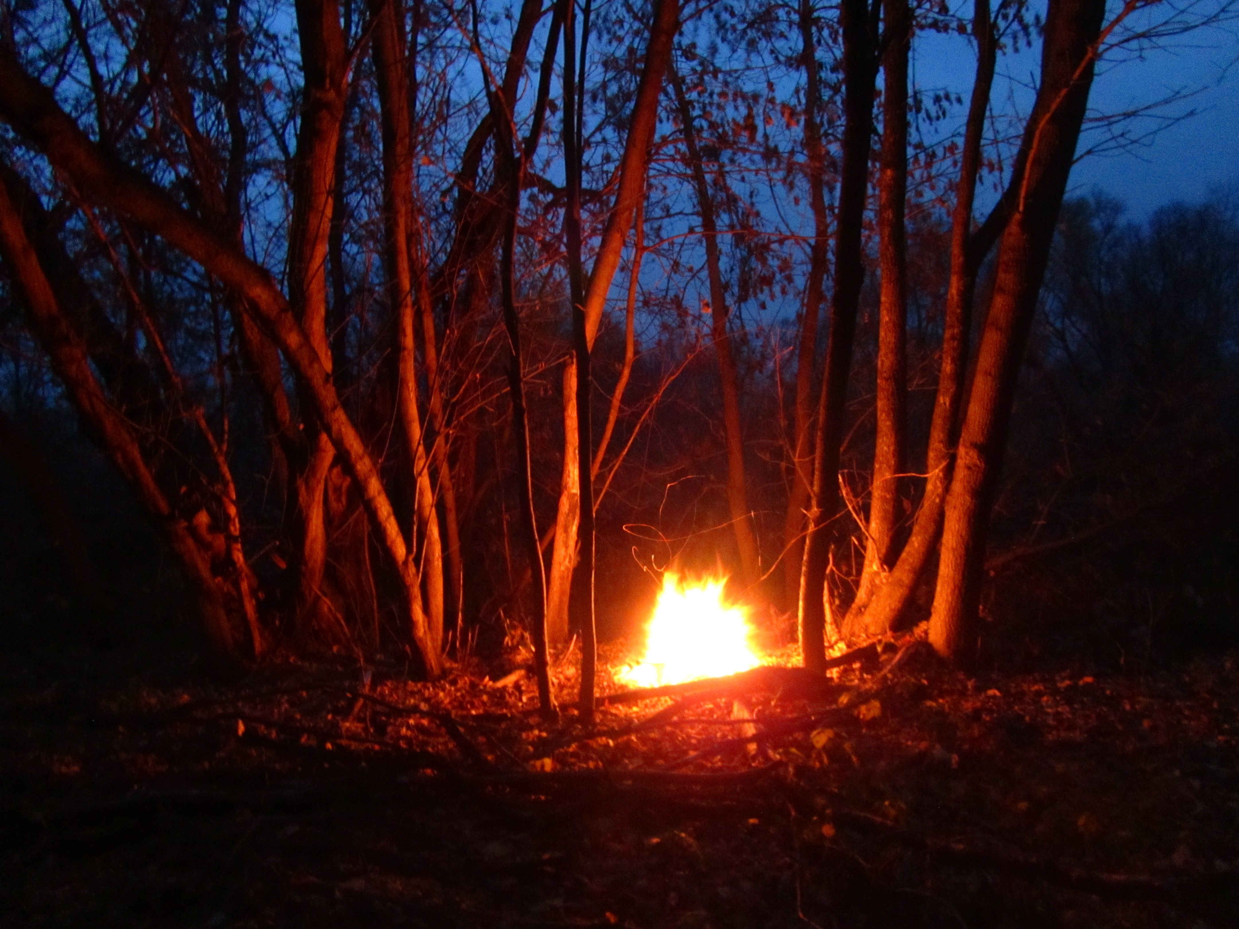 Download Photography Fire 4k Ultra HD Wallpaper by Vergilius