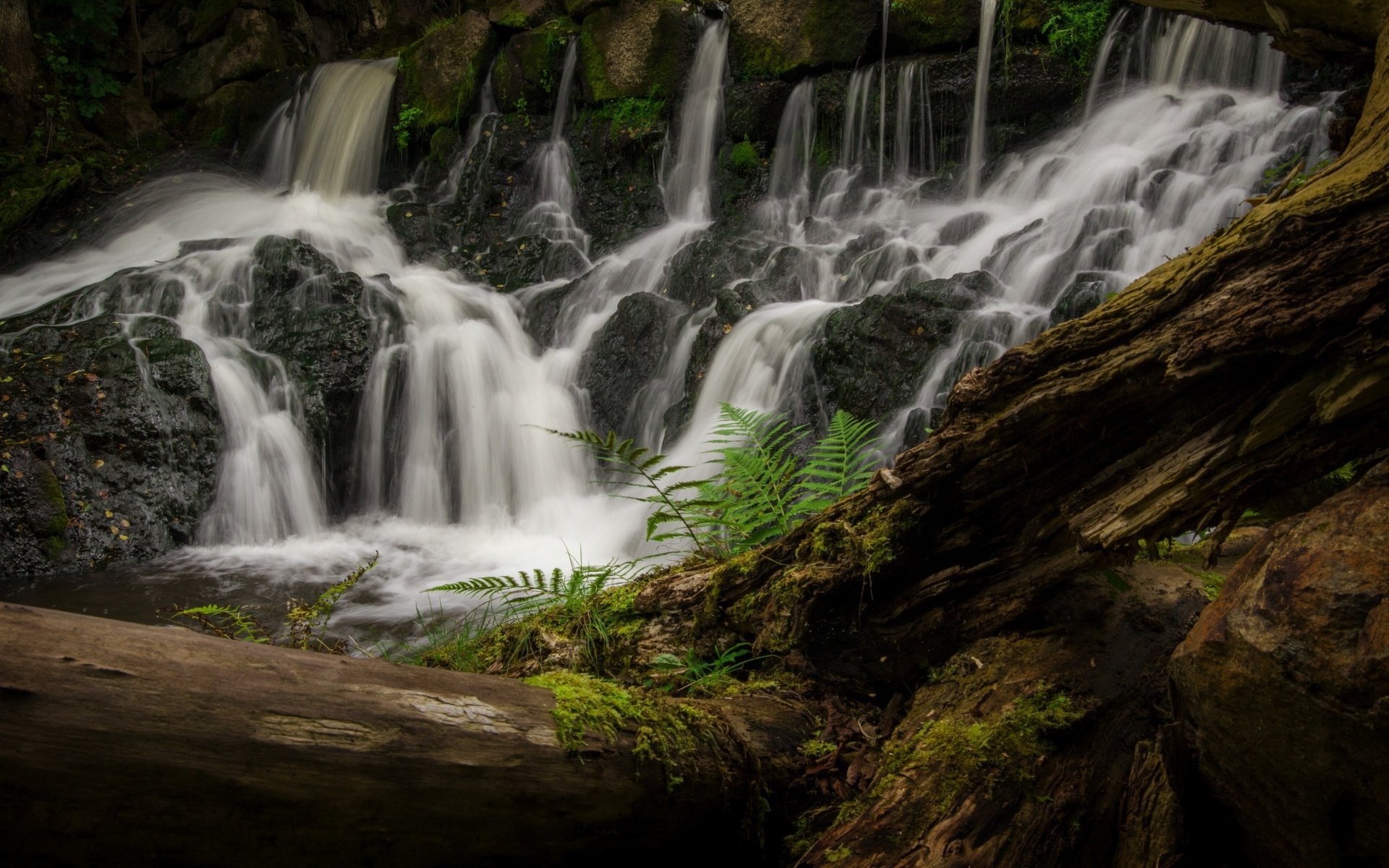 Emerald Cascade — HD Forest Waterfall | 1920x1200 | Wallpaper Abyss