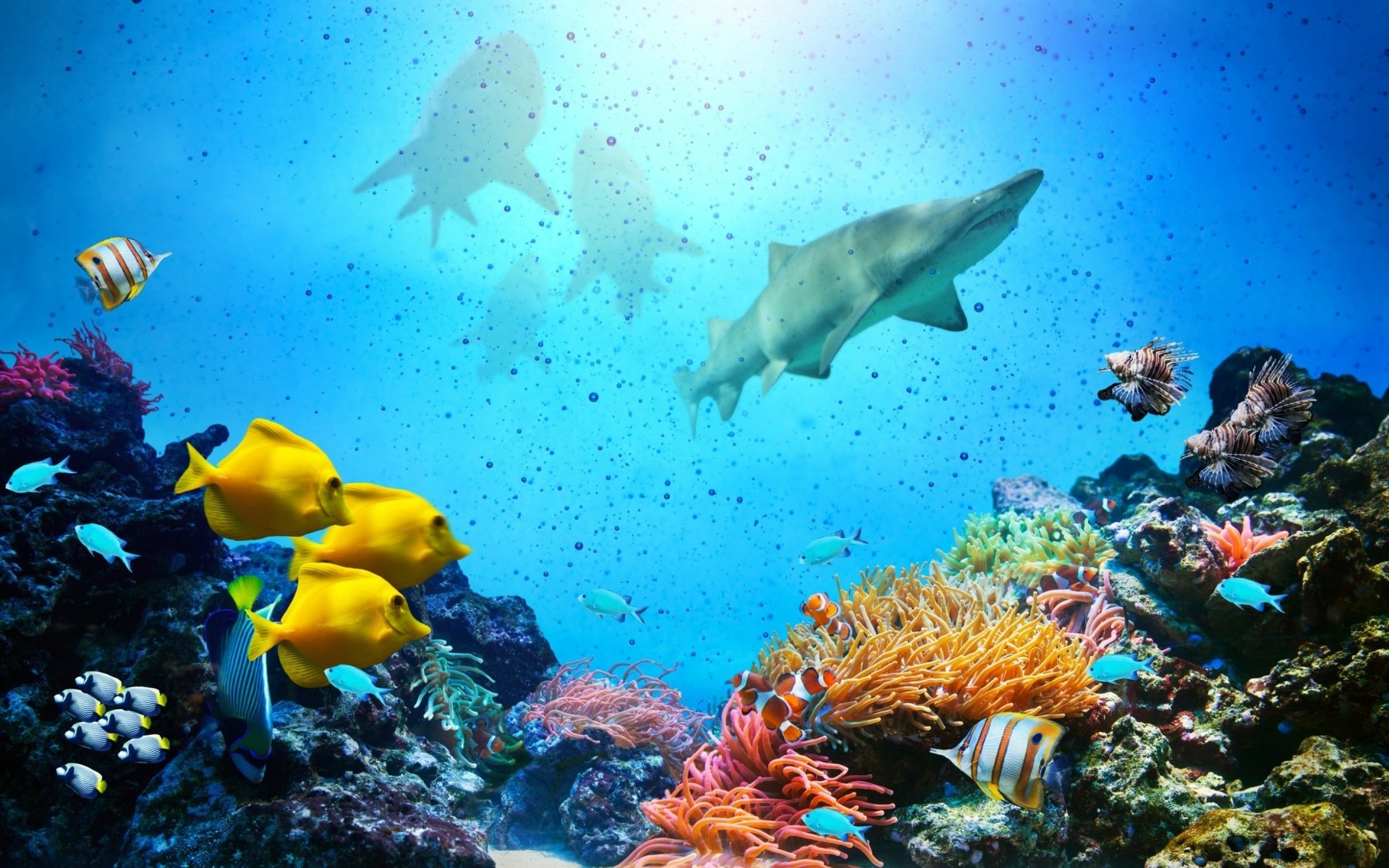 Vibrant Underwater Coral Reef with Majestic Sharks and Colorful Fish ...