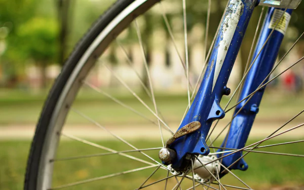 [50+] Bicycle 4k Wallpapers