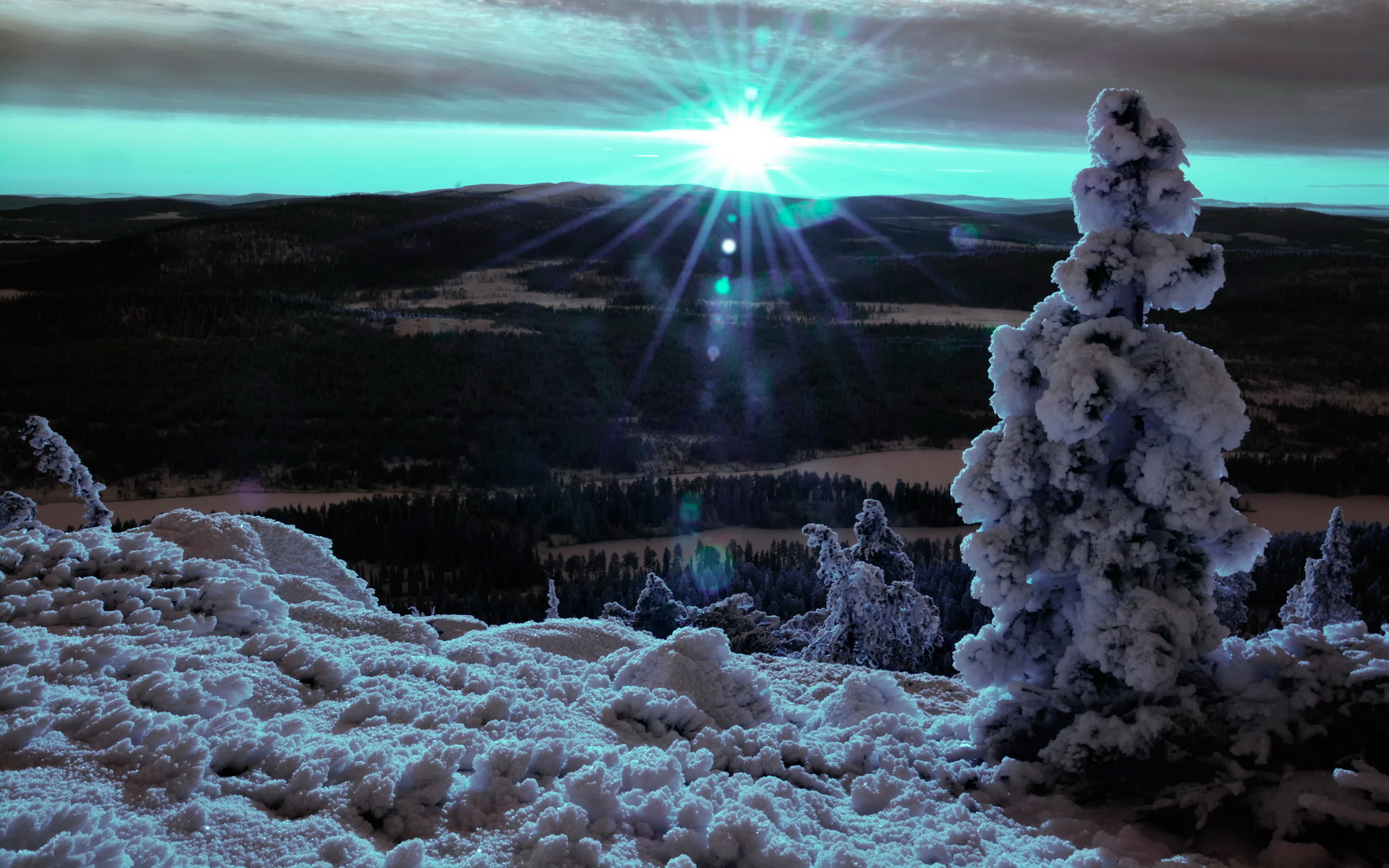 Download Nature Sunbeam HD Wallpaper