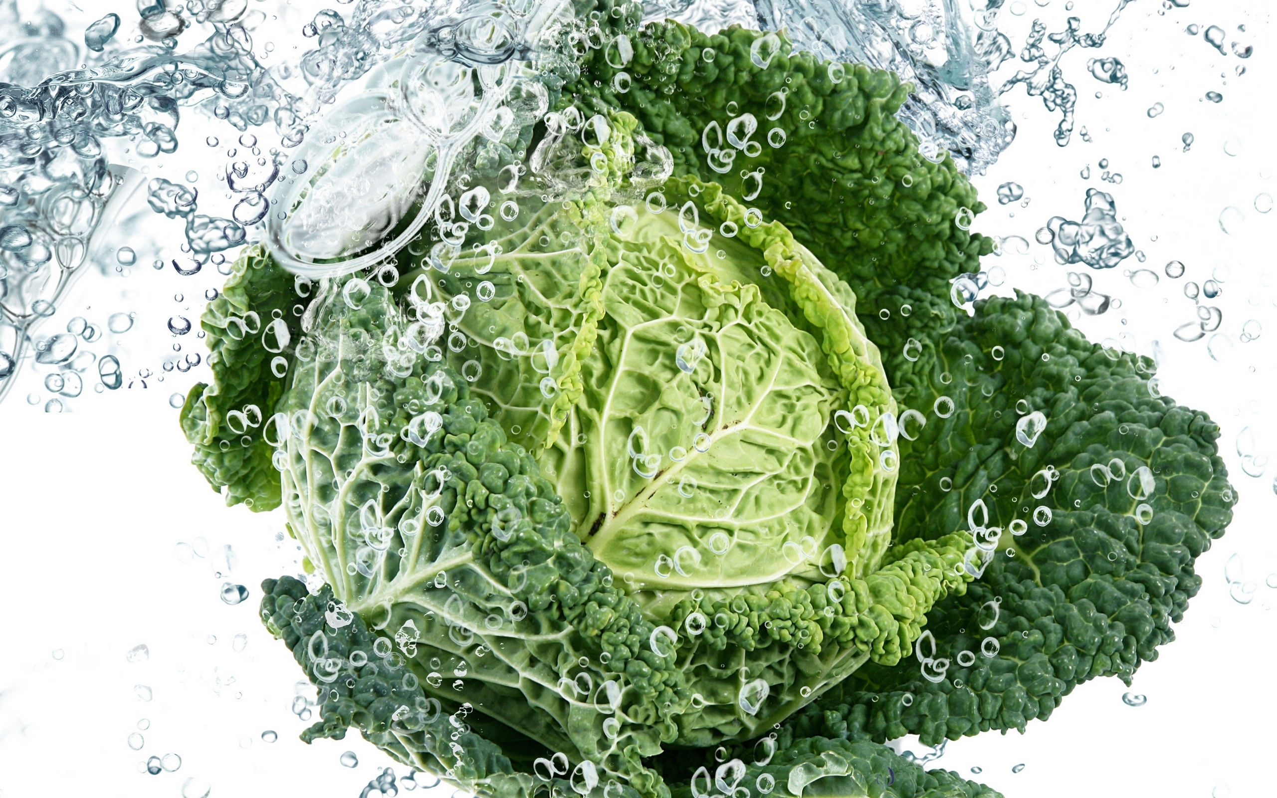 Download Food Cabbage HD Wallpaper