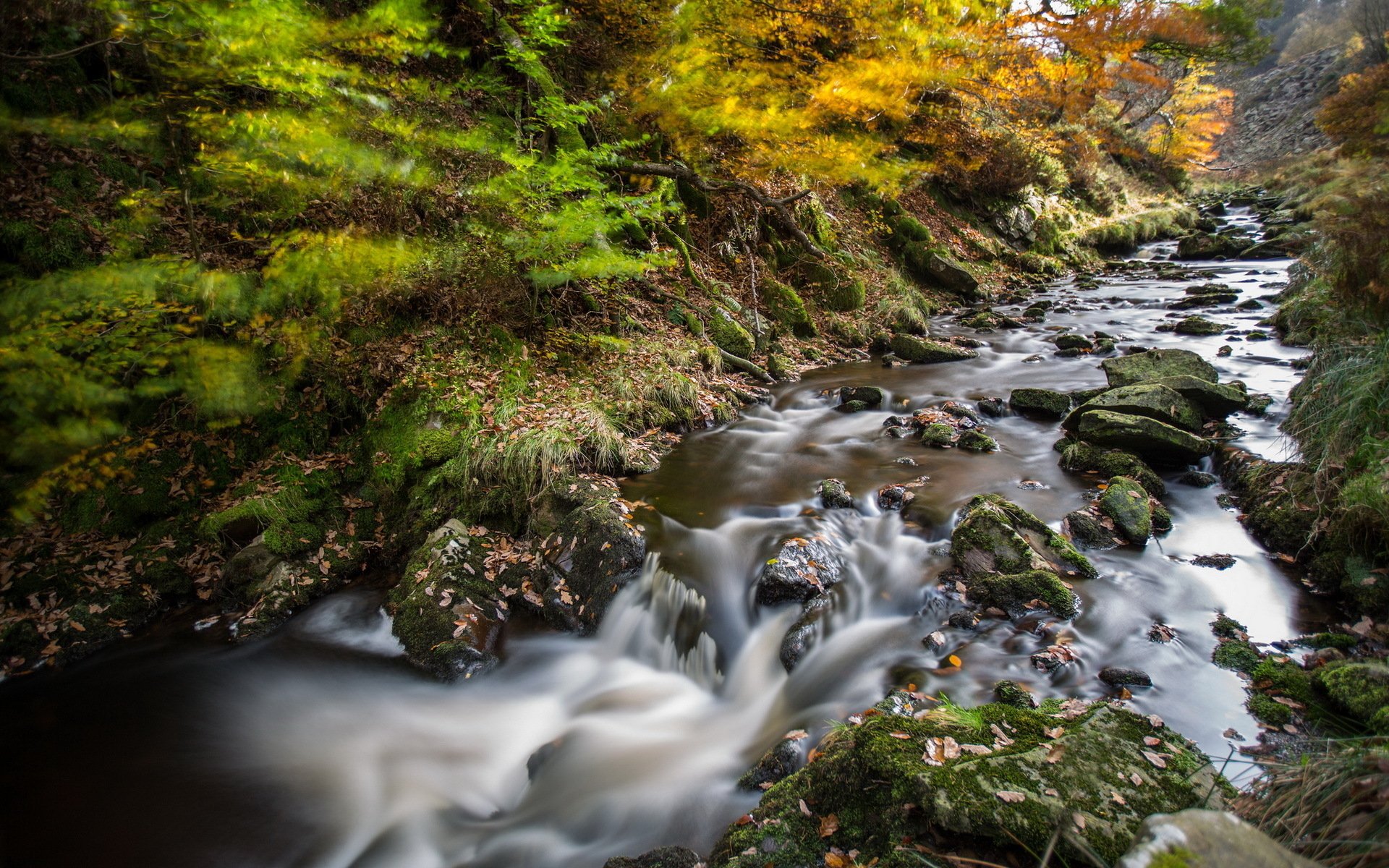 Download Nature Stream HD Wallpaper