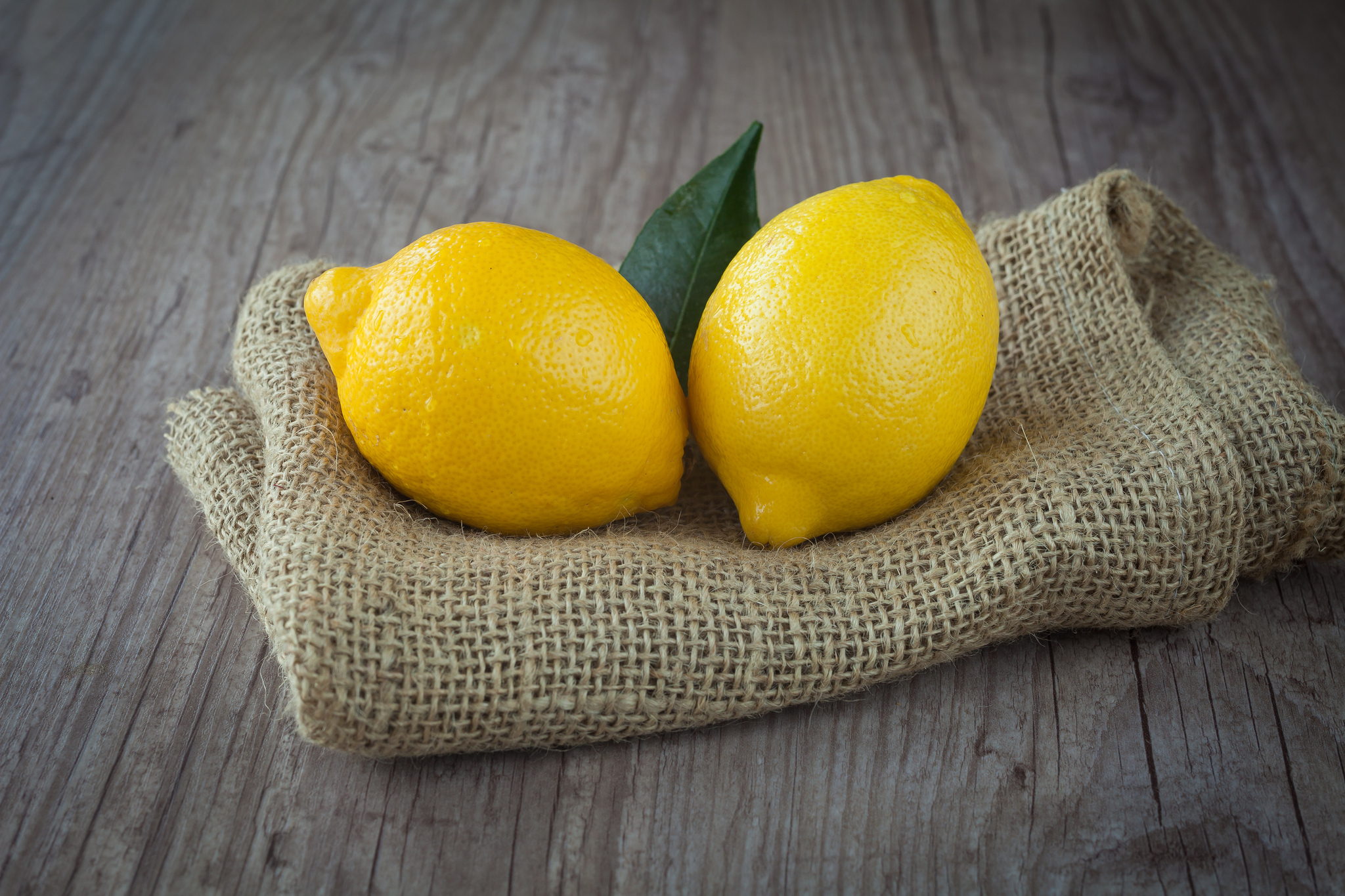 Download Food Lemon HD Wallpaper