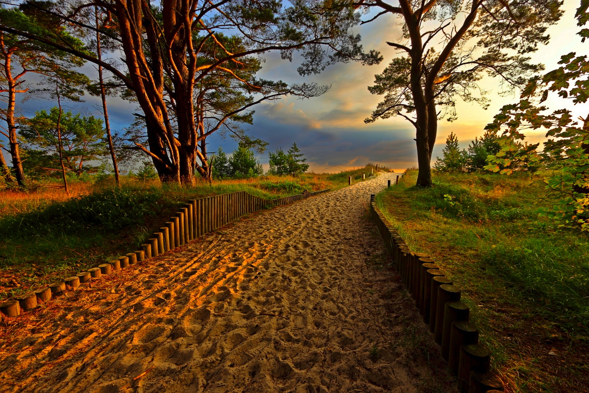 Download Nature Path HD Wallpaper
