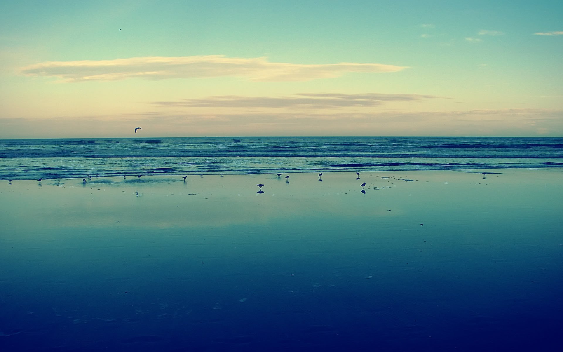 Download Water Ocean Landscape Nature Beach HD Wallpaper
