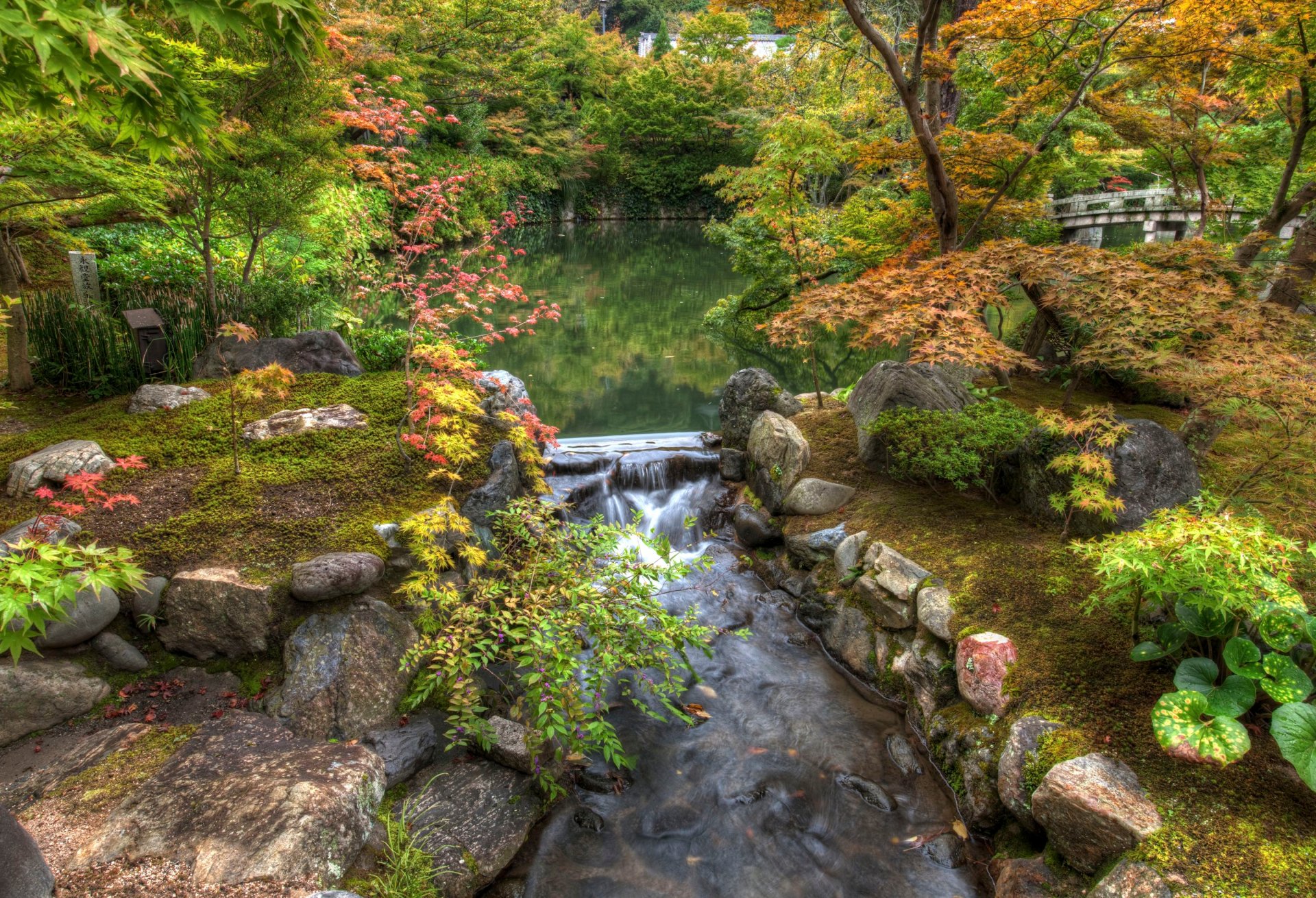 Kyoto Harmony Garden Fall - HD Wallpaper