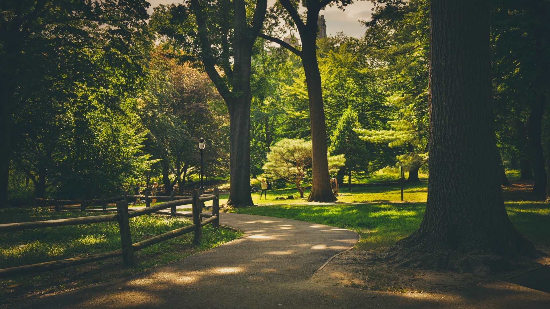 Download Man Made Path HD Wallpaper | 2559x1439 | Wallpaper Abyss