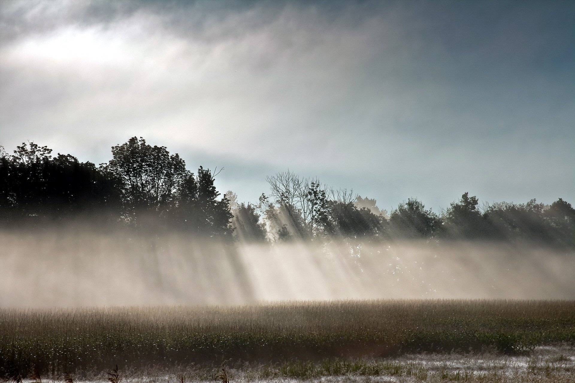 Download Nature Sunbeam HD Wallpaper