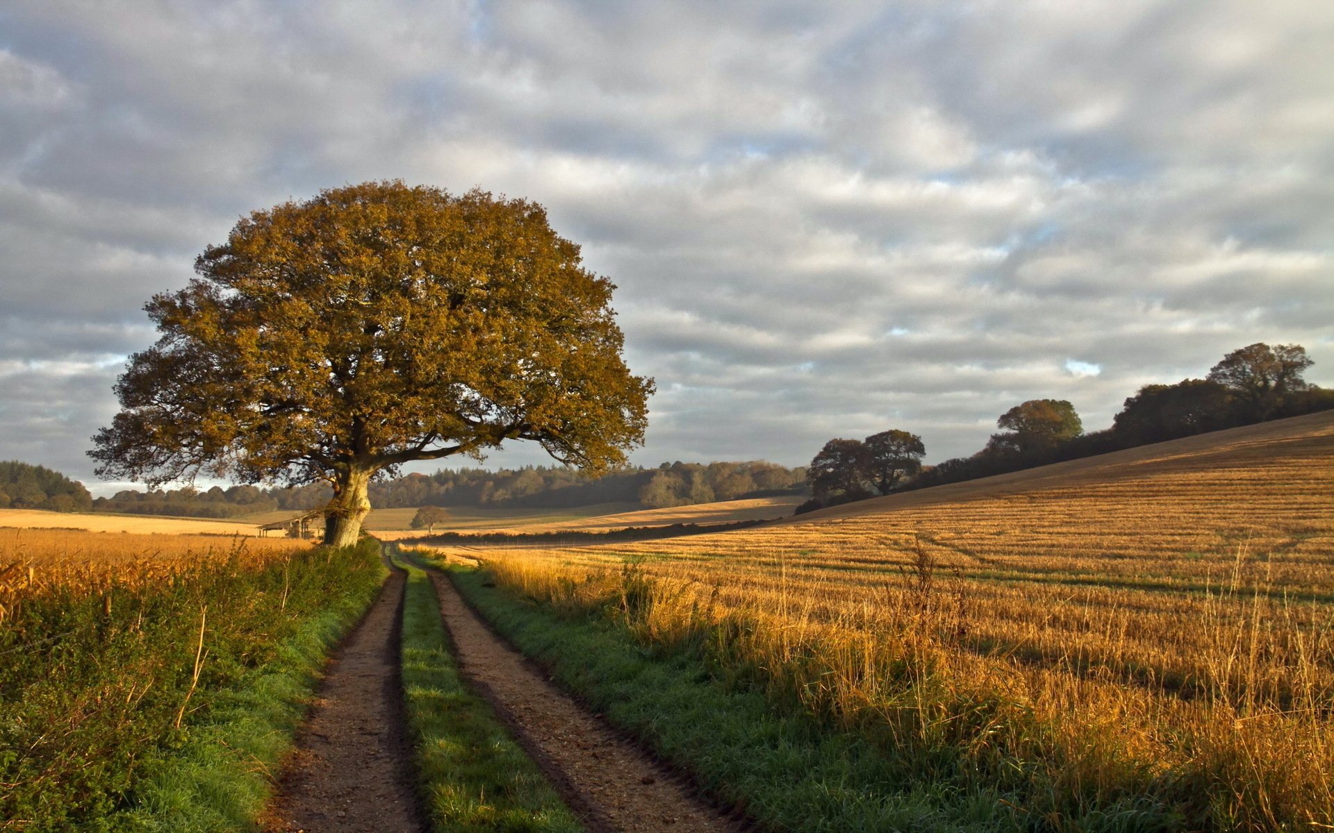 Download Man Made Path HD Wallpaper | 1920x1200 | Wallpaper Abyss