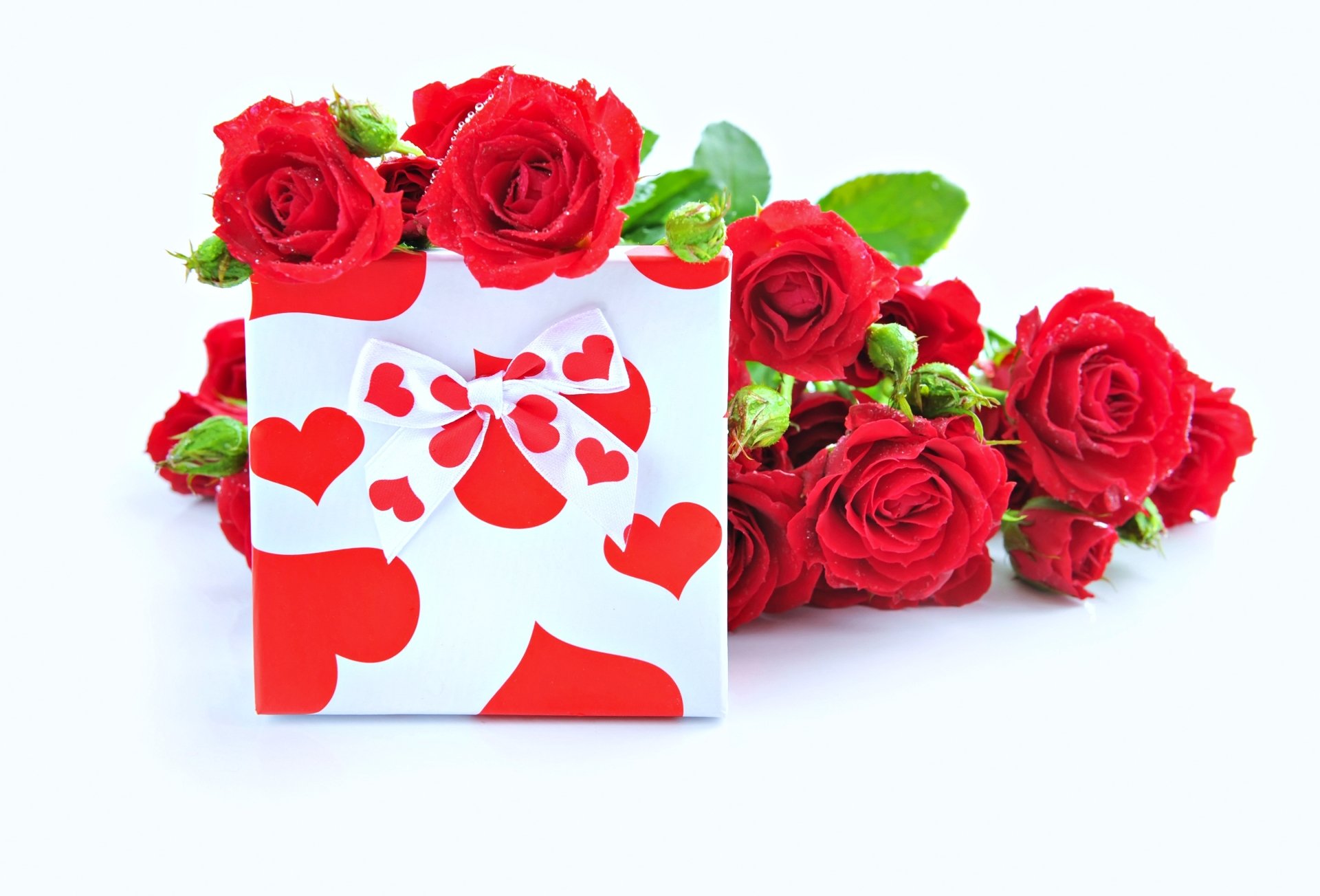 4K Ultra HD Red Rose Gift – Love in Bloom Photography | 3920x2661 ...