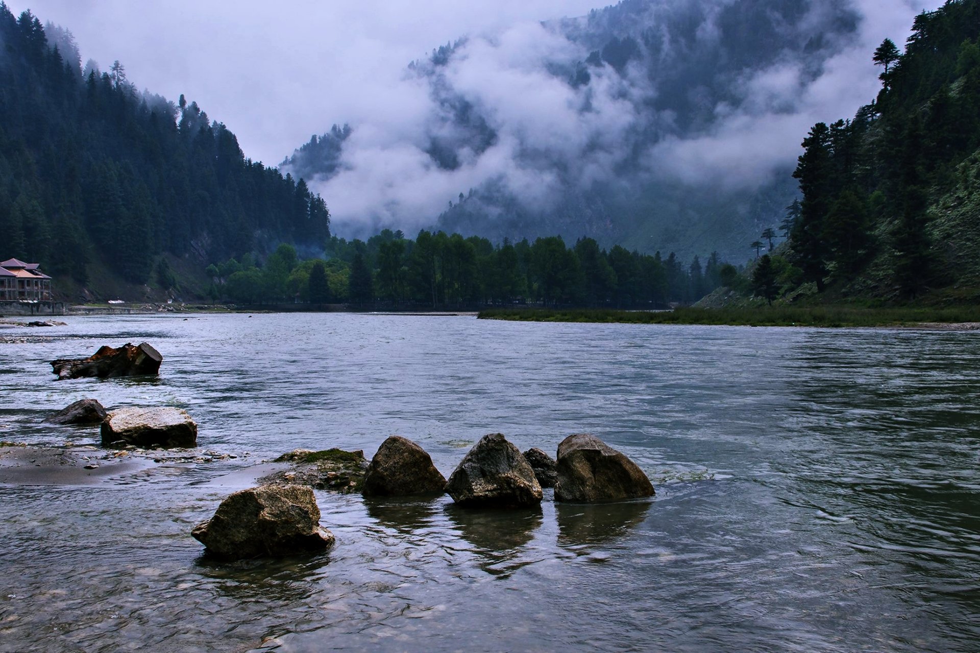 Download Tree Forest Cloud Mountain Earth Nature Landscape Photography ...