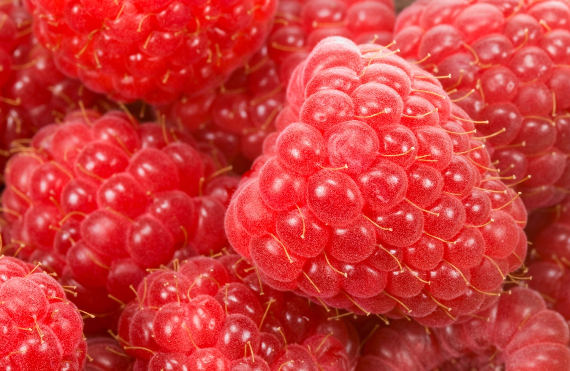 Download Food Raspberry 4k Ultra HD Wallpaper