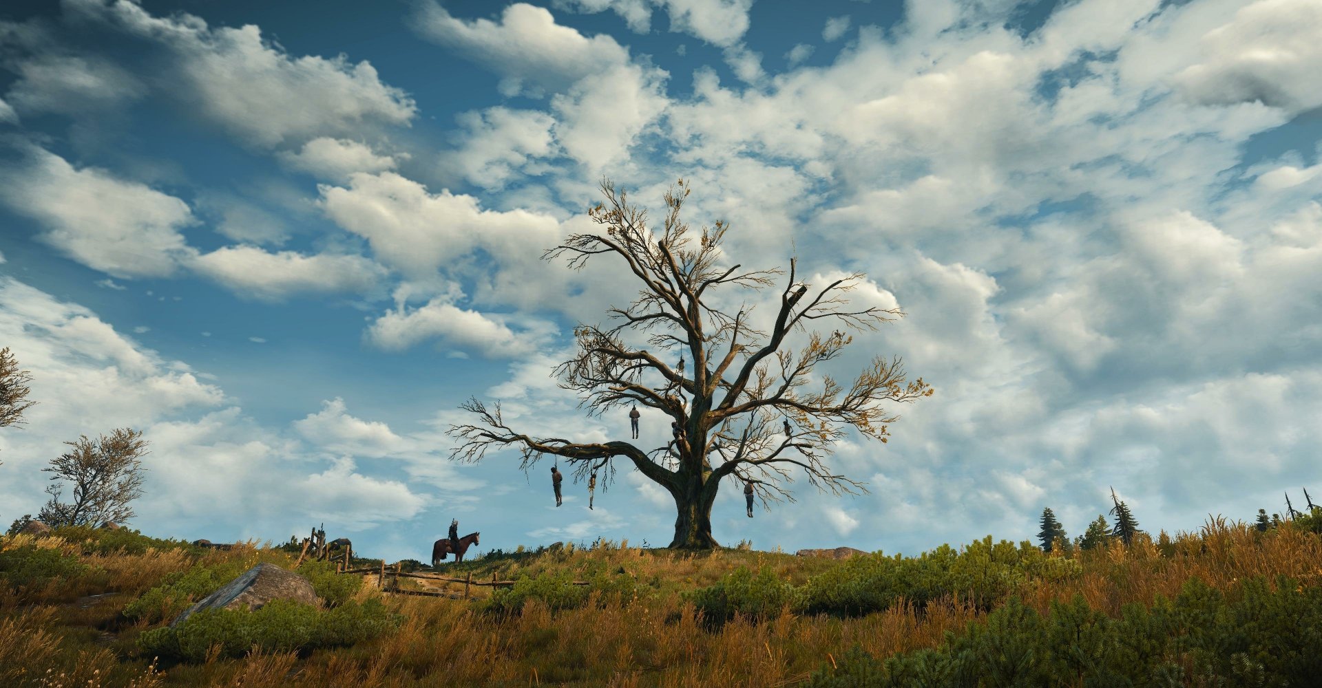 The Witcher 3: Wild Hunt HD Wallpaper - Haunting Landscape by Andy Cull