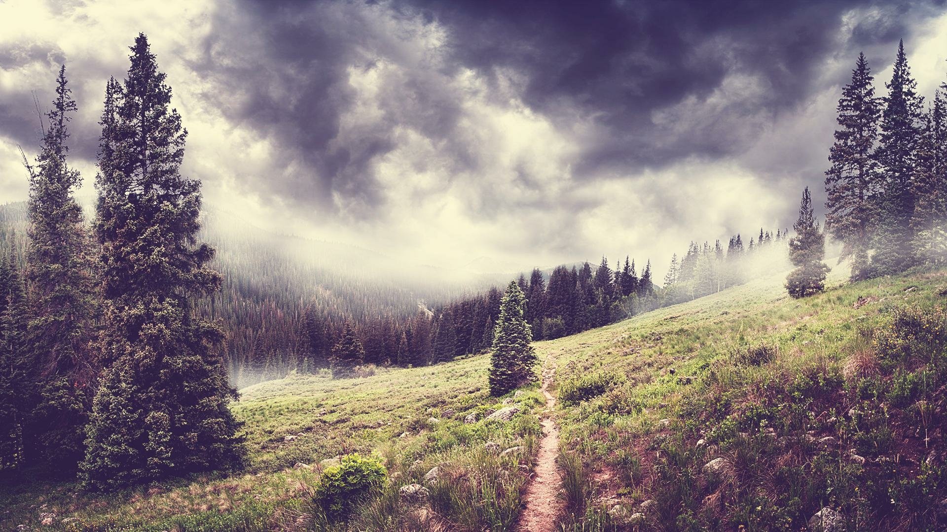 Serene Nature Landscape: HD Wallpaper for Your Screen | 1920x1080 ...