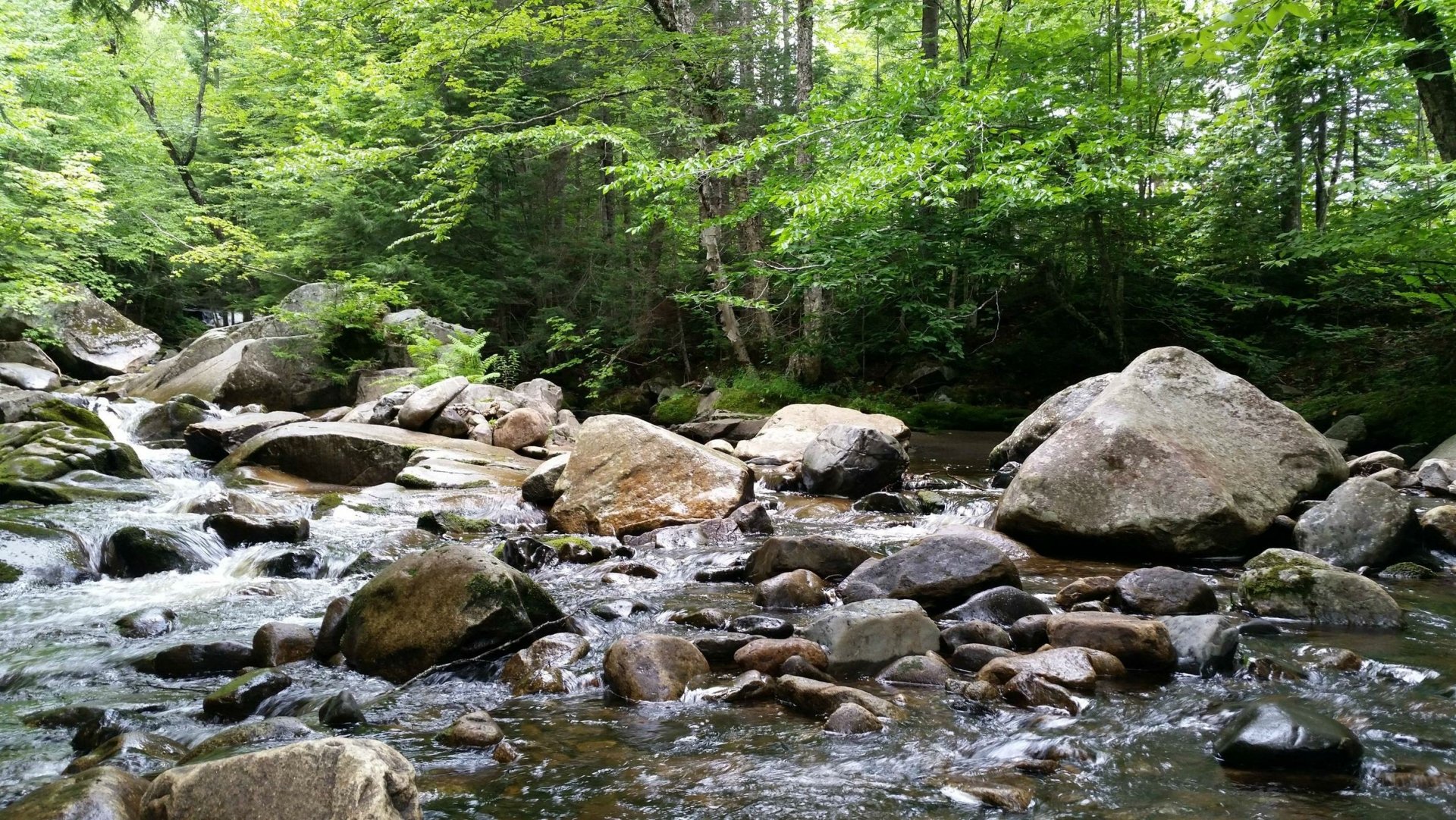 Download Nature Stream HD Wallpaper