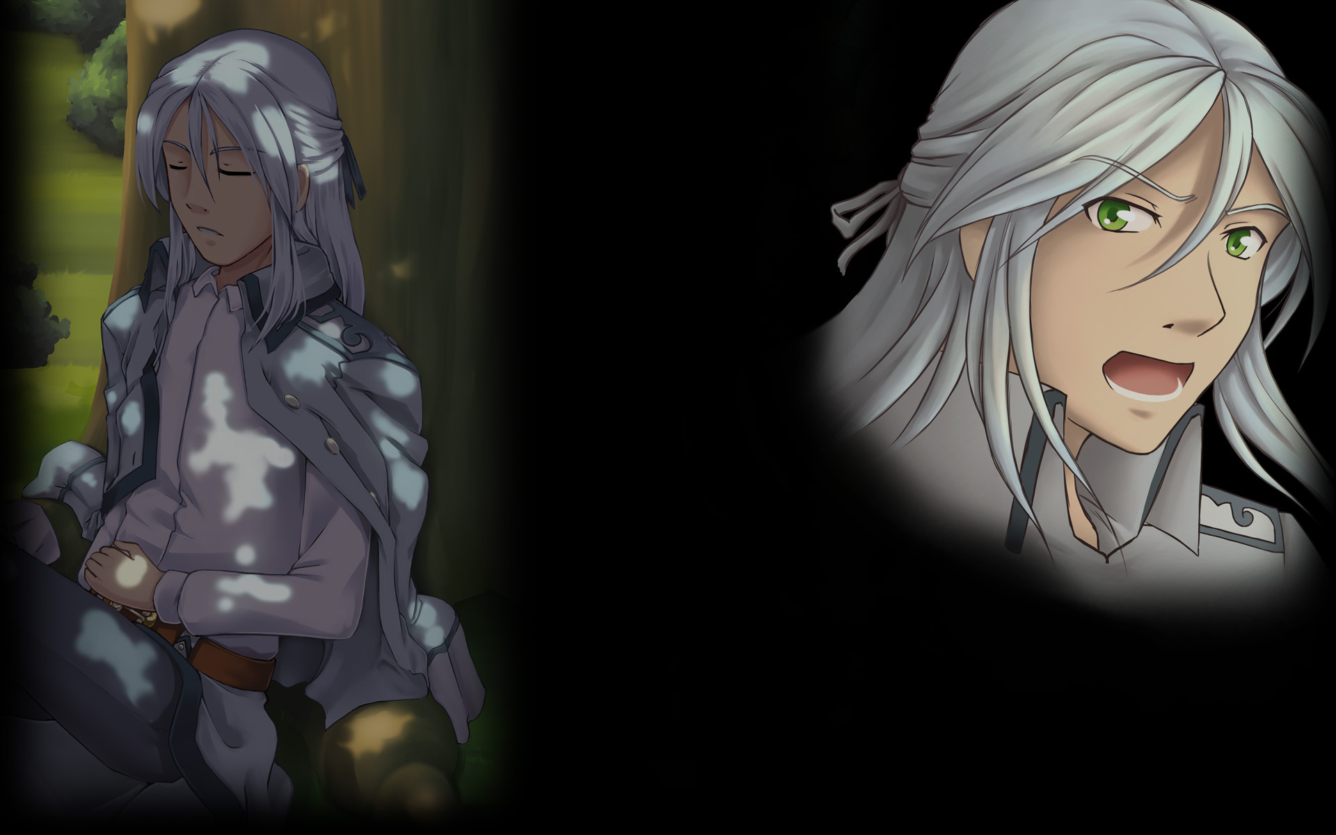 Blue Rose HD Wallpaper