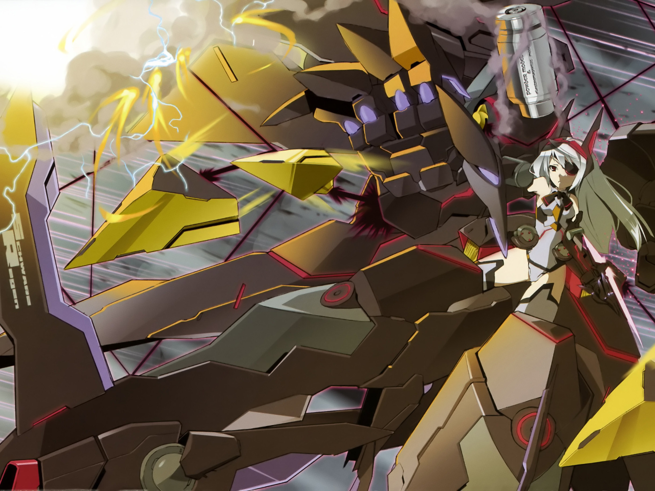 Download Anime Infinite Stratos HD Wallpaper