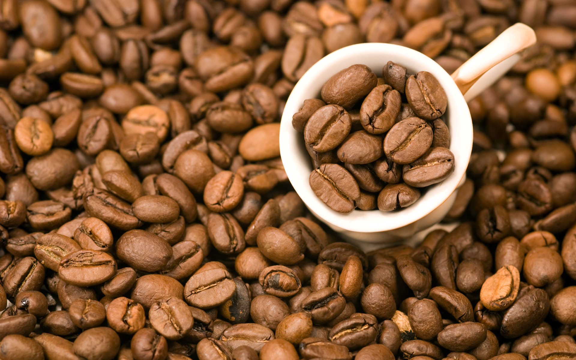 Download Coffee Beans Food Coffee HD Wallpaper