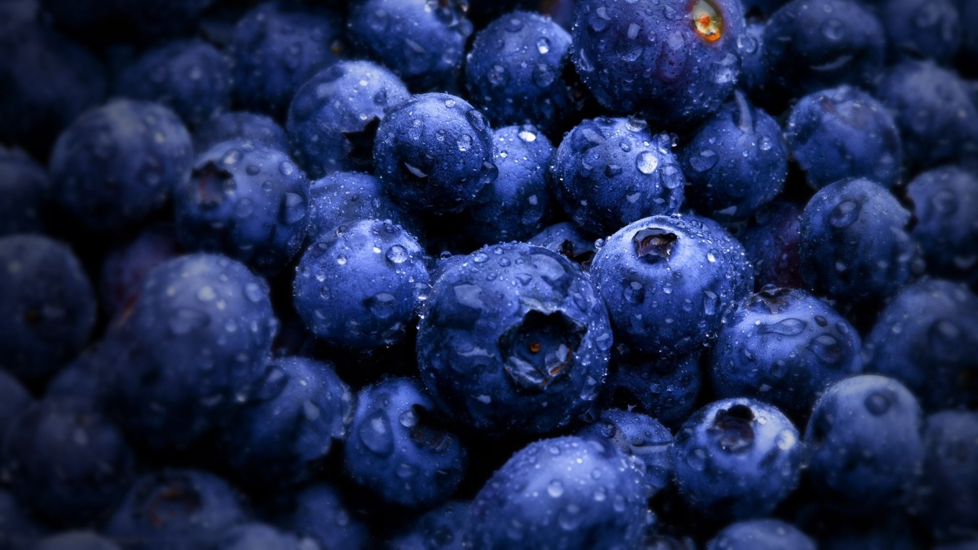 Download Berry Food Blueberry HD Wallpaper