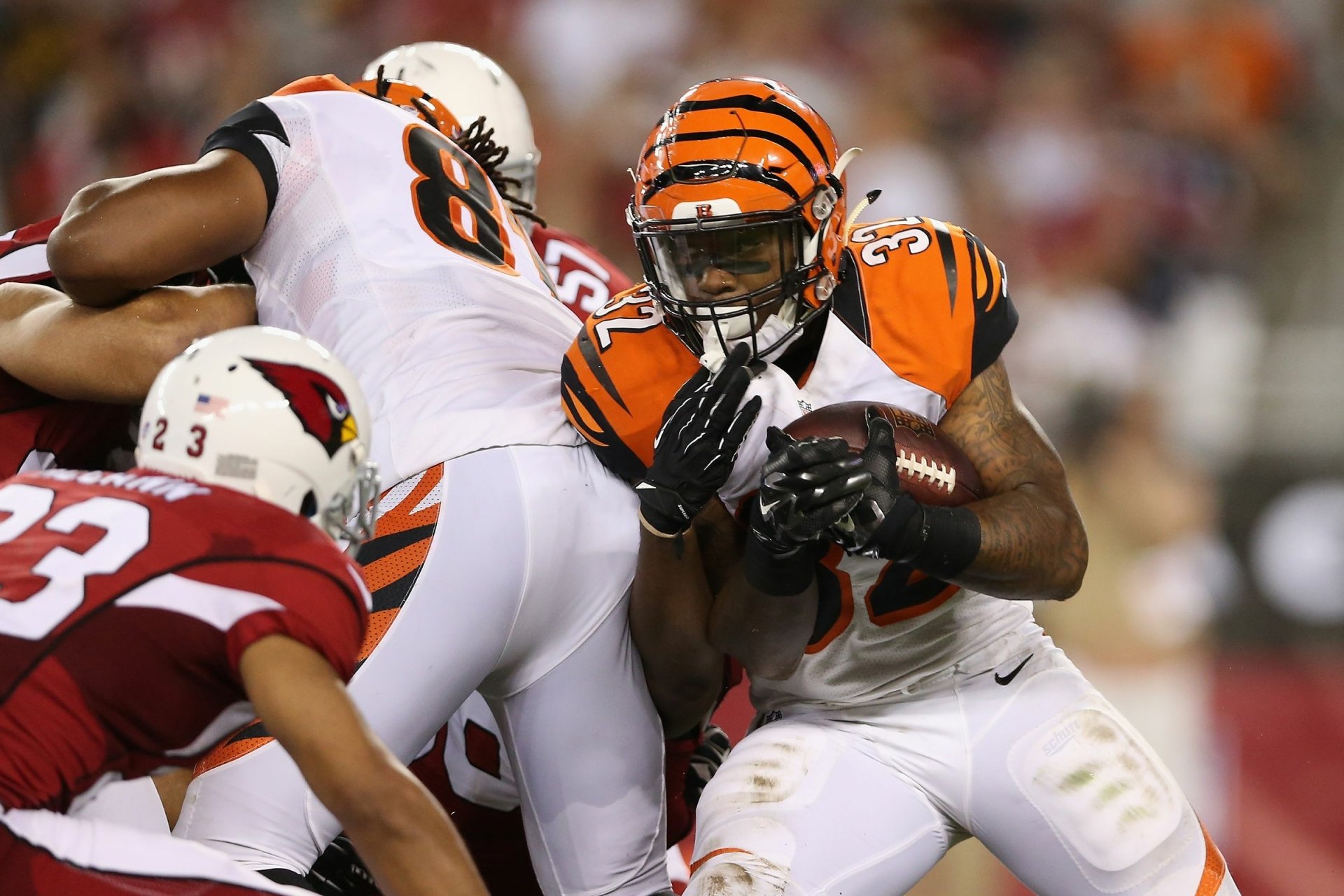 Download Cincinnati Bengals Sports HD Wallpaper