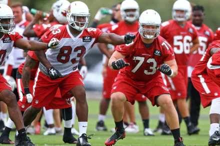 Arizona Cardinals - Desktop Wallpapers, Phone Wallpaper, PFP, Gifs, and ...