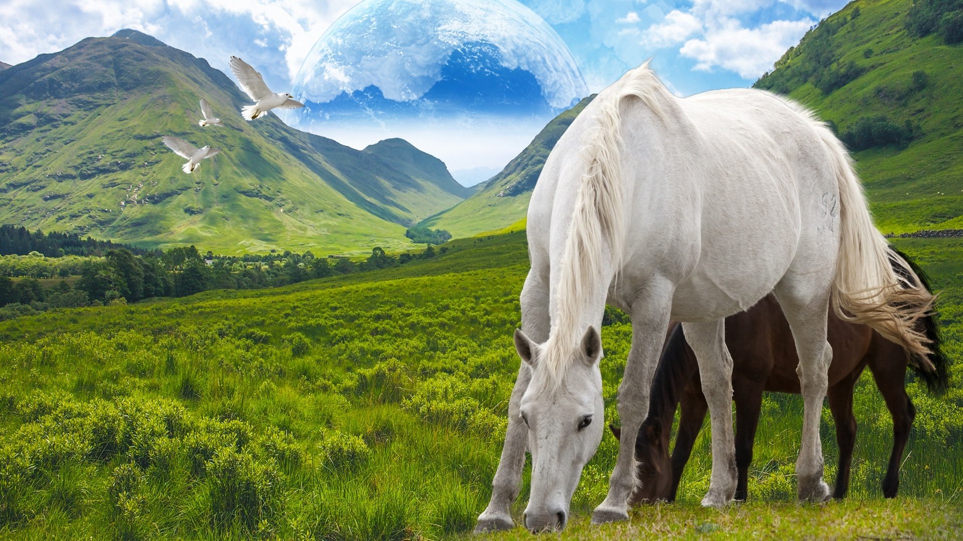 Enchanted Mountain Realm: Majestic White Horse and Soaring Birds HD ...