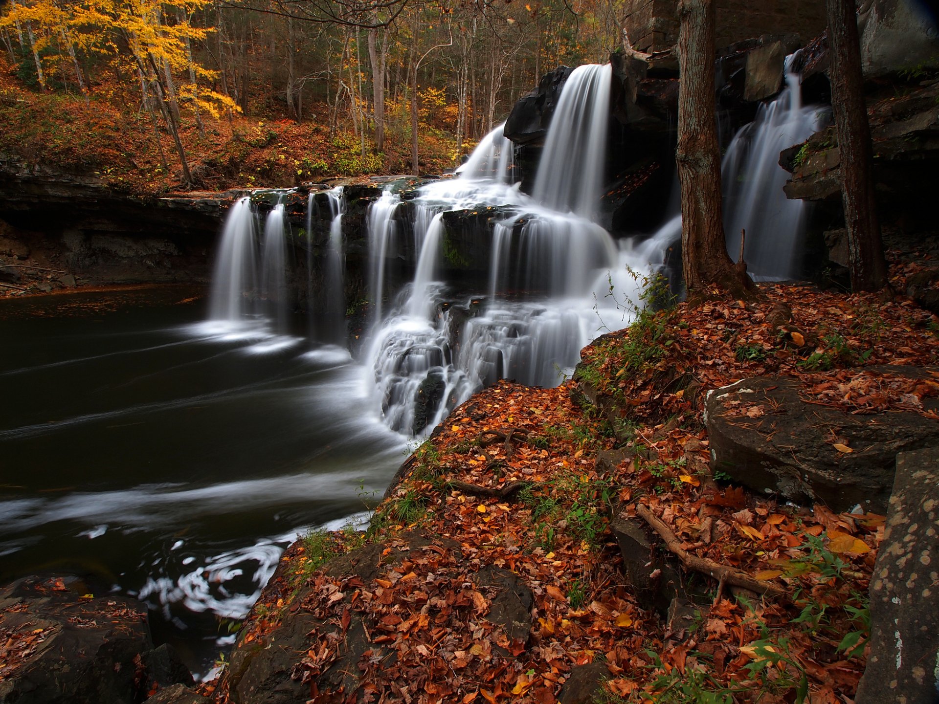 Download Leaf Nature Fall Waterfall HD Wallpaper