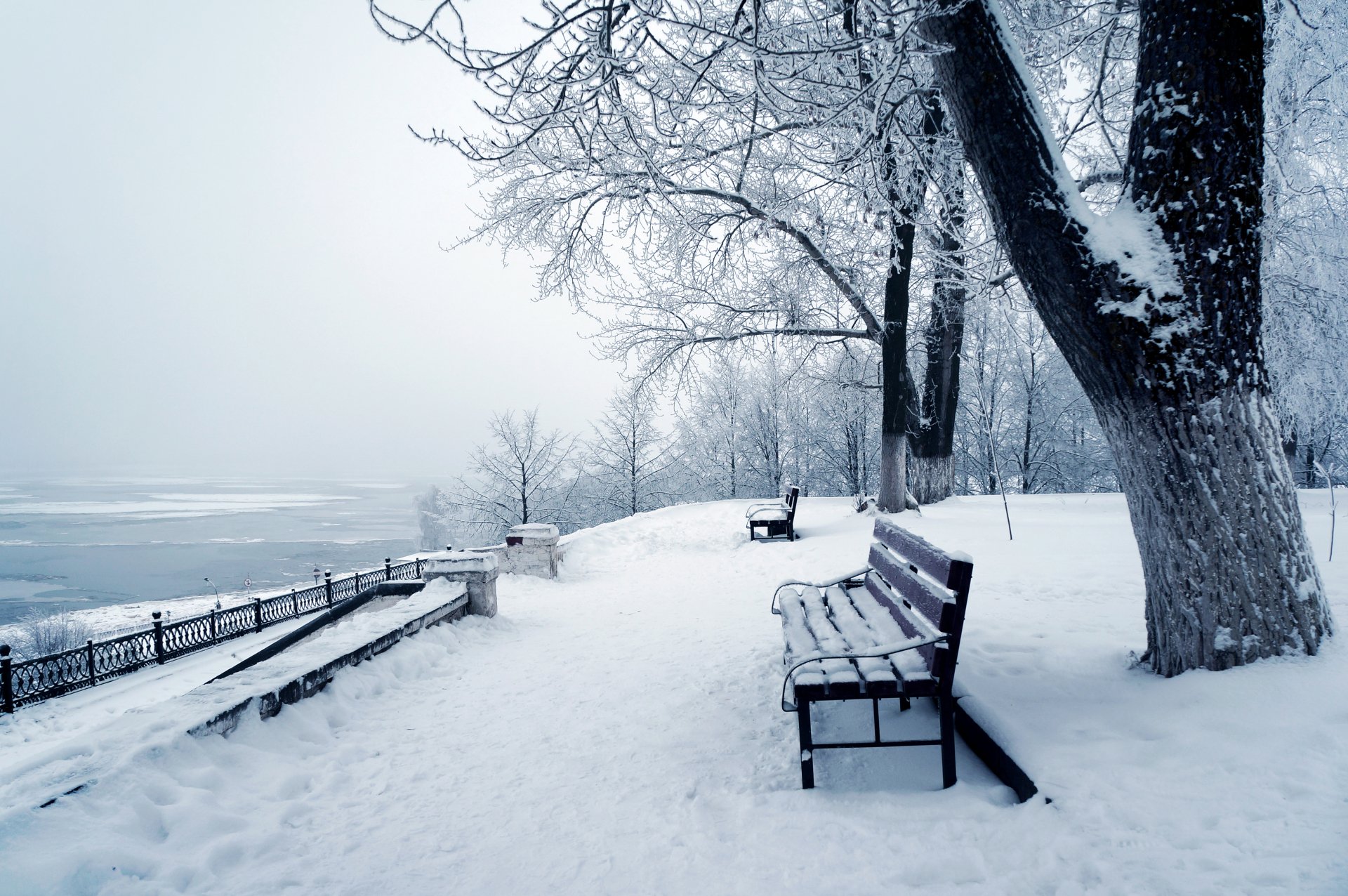 Winter Serenity: 4K Ultra HD Wallpaper of a Snowy Park Scene