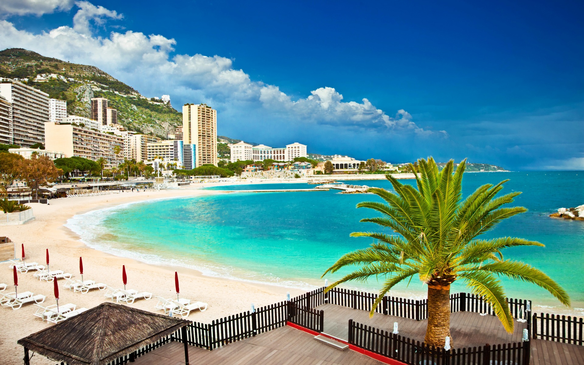 Download Palm Tree Ocean Building Coastline Coast Man Made Monaco HD ...