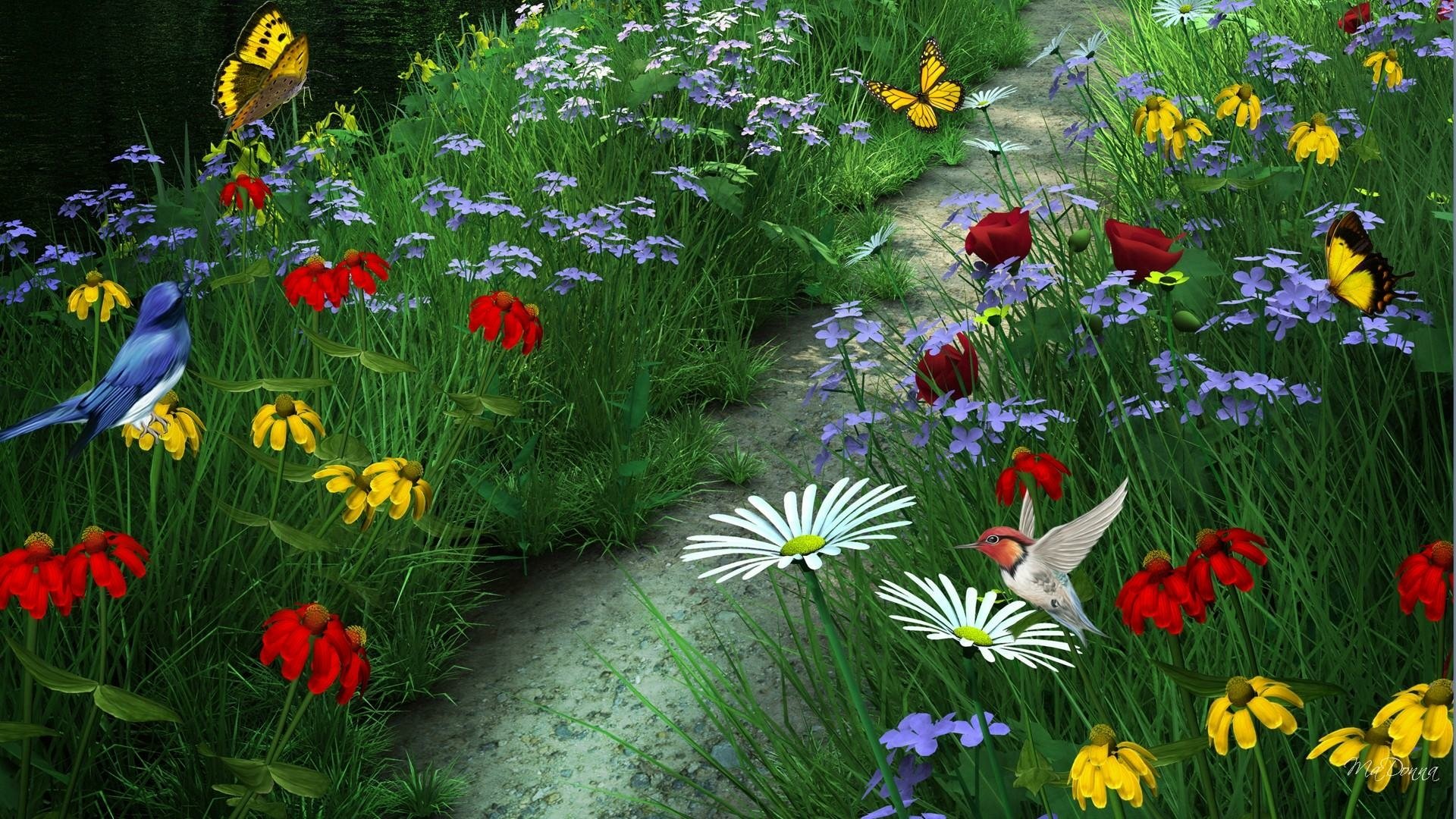 Summer Garden Desktop Wallpaper Garden Wallpapers HD | PixelsTalk.Net