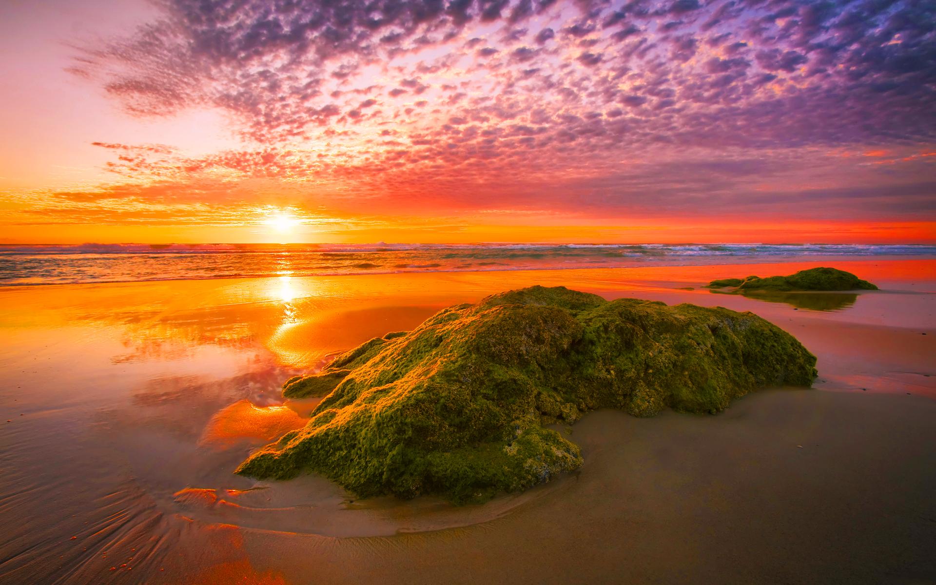 Download Horizon Purple Gold Orange (Color) Sky Sand Ocean Beach Nature ...