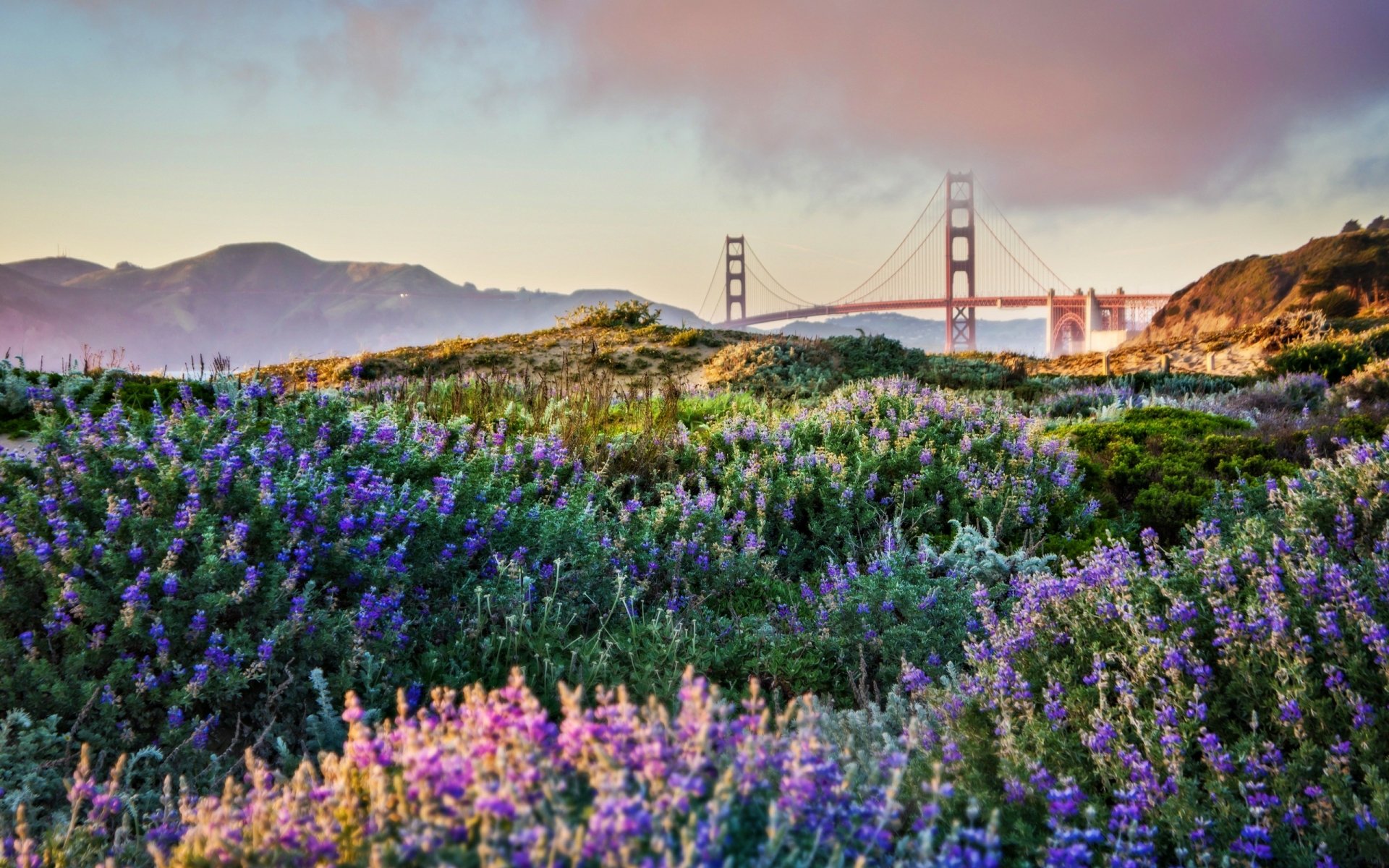 View of Golden Gate Bridge in Springtime