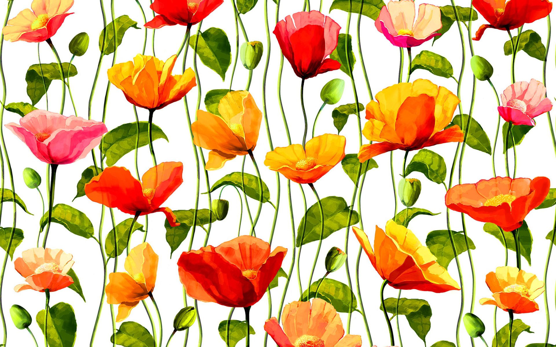 Download Vine Colorful Colors Poppy Artistic Flower HD Wallpaper