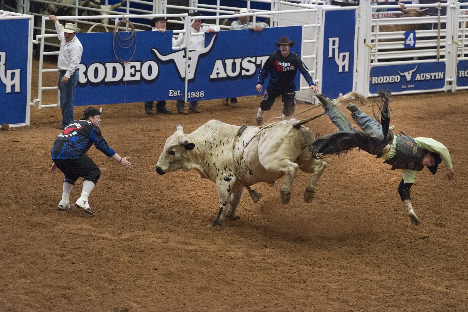 Rodeo Rush: Epic Bull Ride in Action – HD Cowboy Sports Wallpaper by skeeze