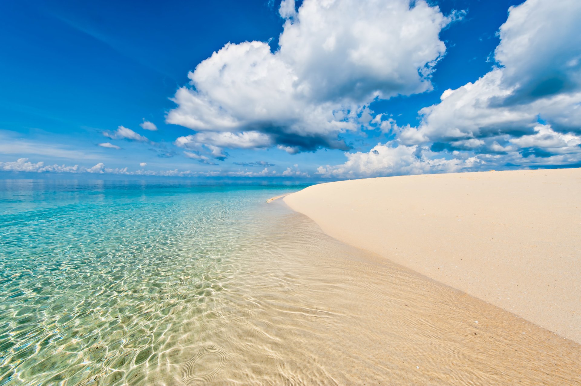 Tropical Turquoise Horizon: Stunning HD Ocean Beach Wallpaper ...