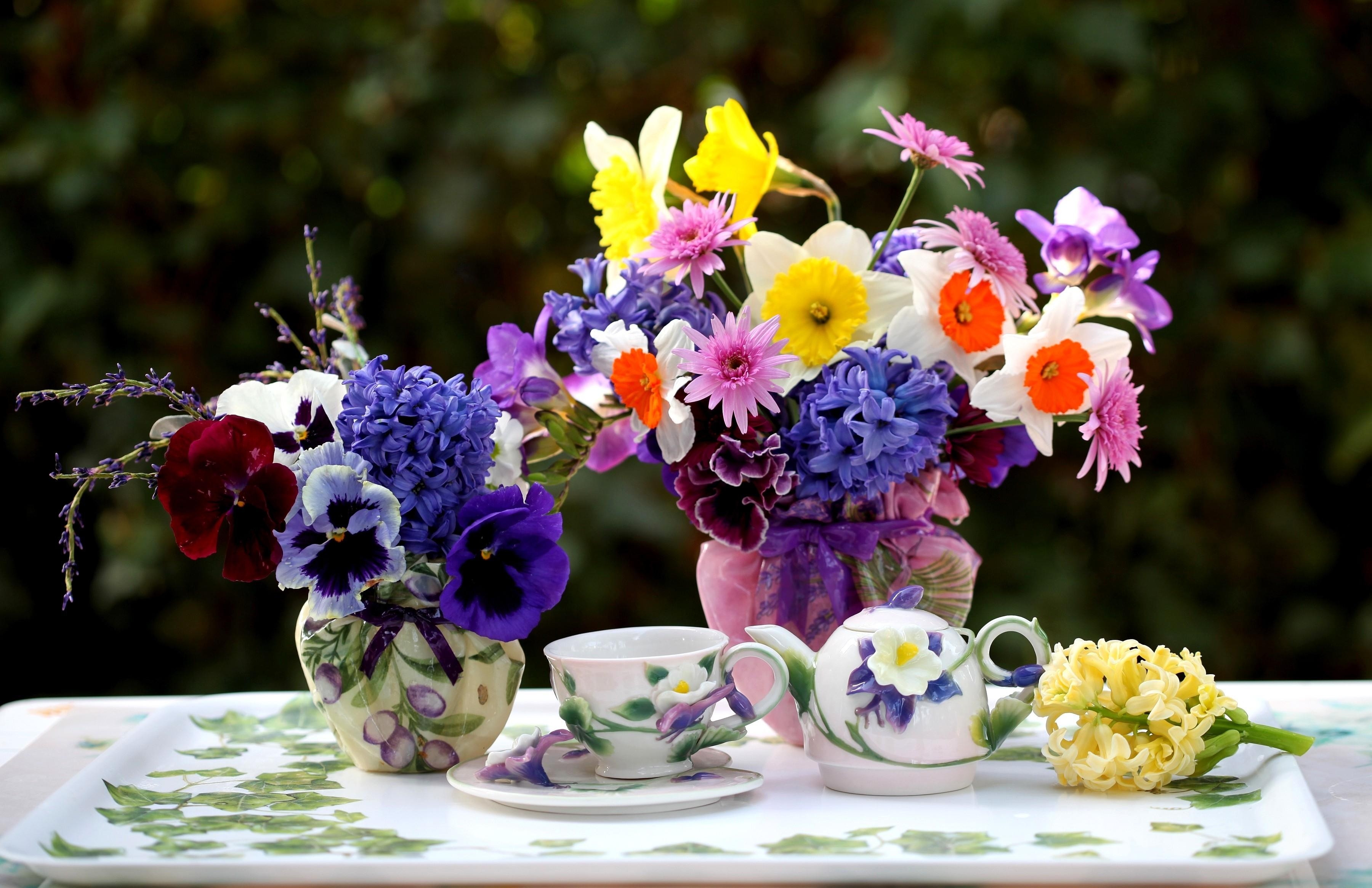 Download Cup Colorful Colors Flower Photography Still Life HD Wallpaper