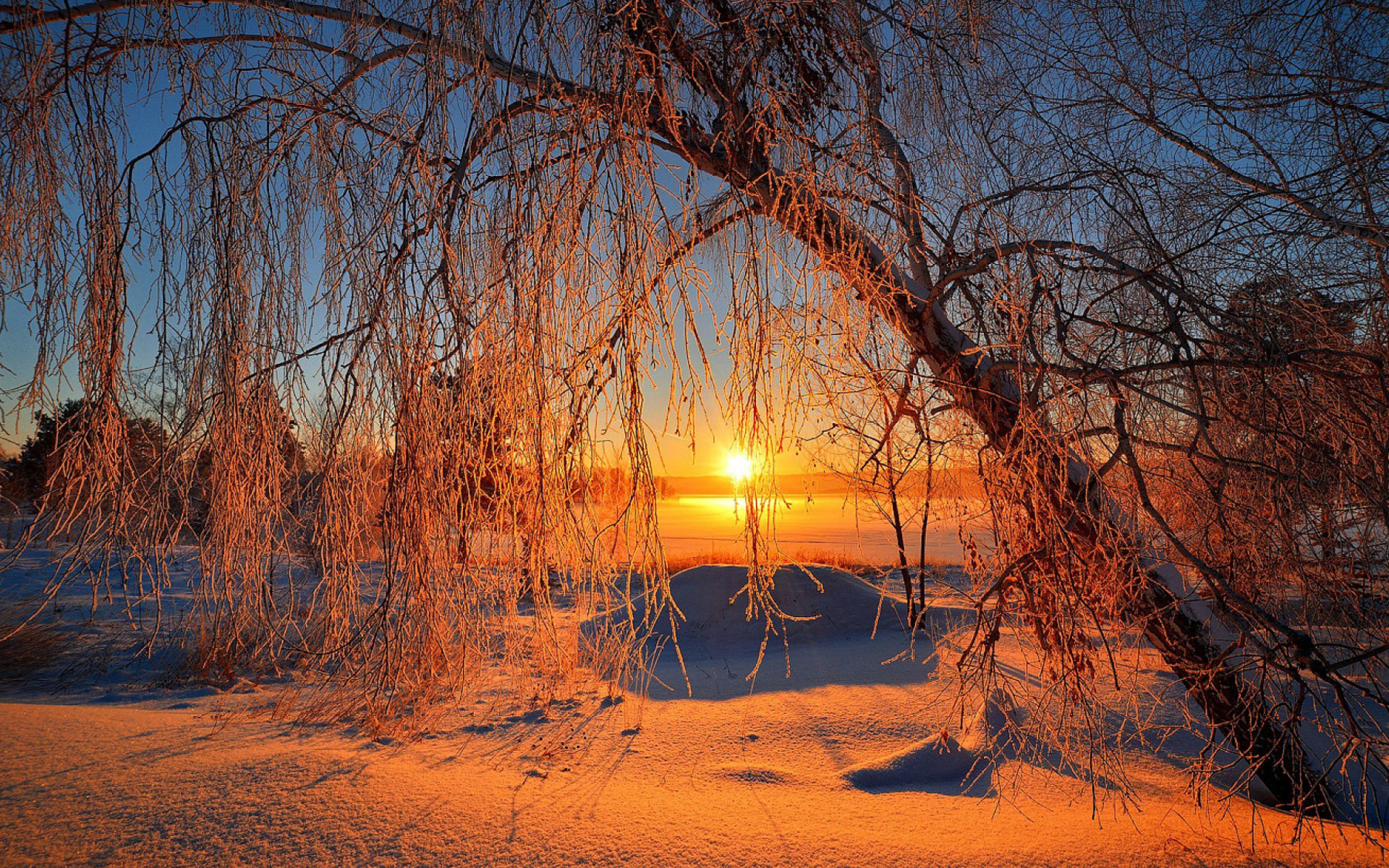 Download Snow Sun Tree Sunset Nature Winter HD Wallpaper