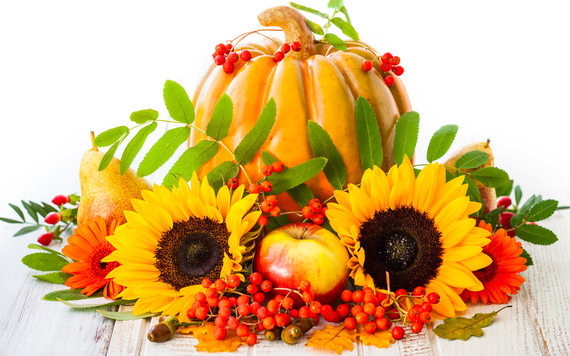 Harvest Glow: HD Fall Still Life with Pumpkin and Sunflowers