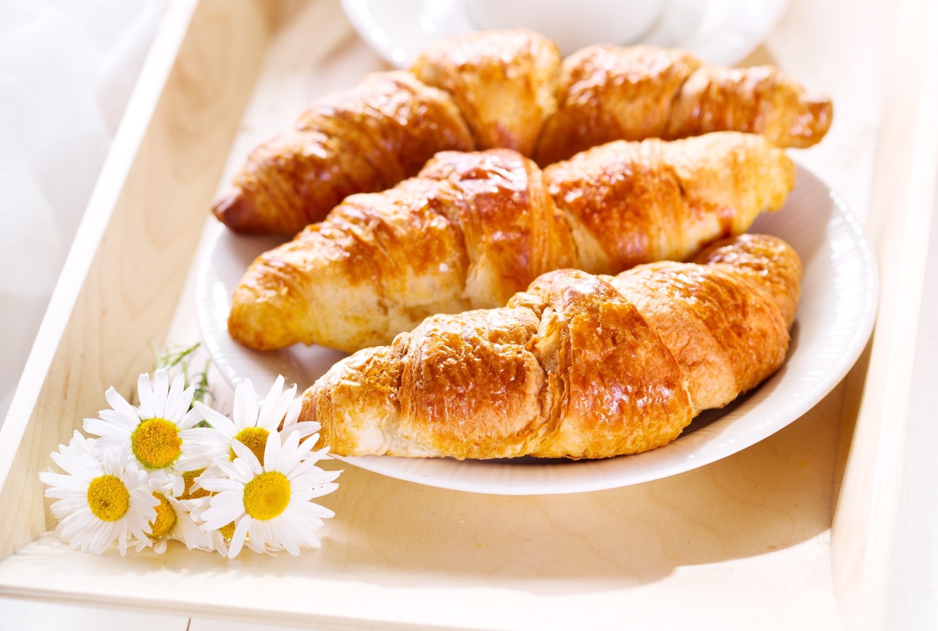 4K Ultra HD Breakfast Bliss: Golden Croissants on a Sunny Morning Plate