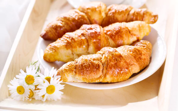 [230+] Croissant 4k Wallpapers