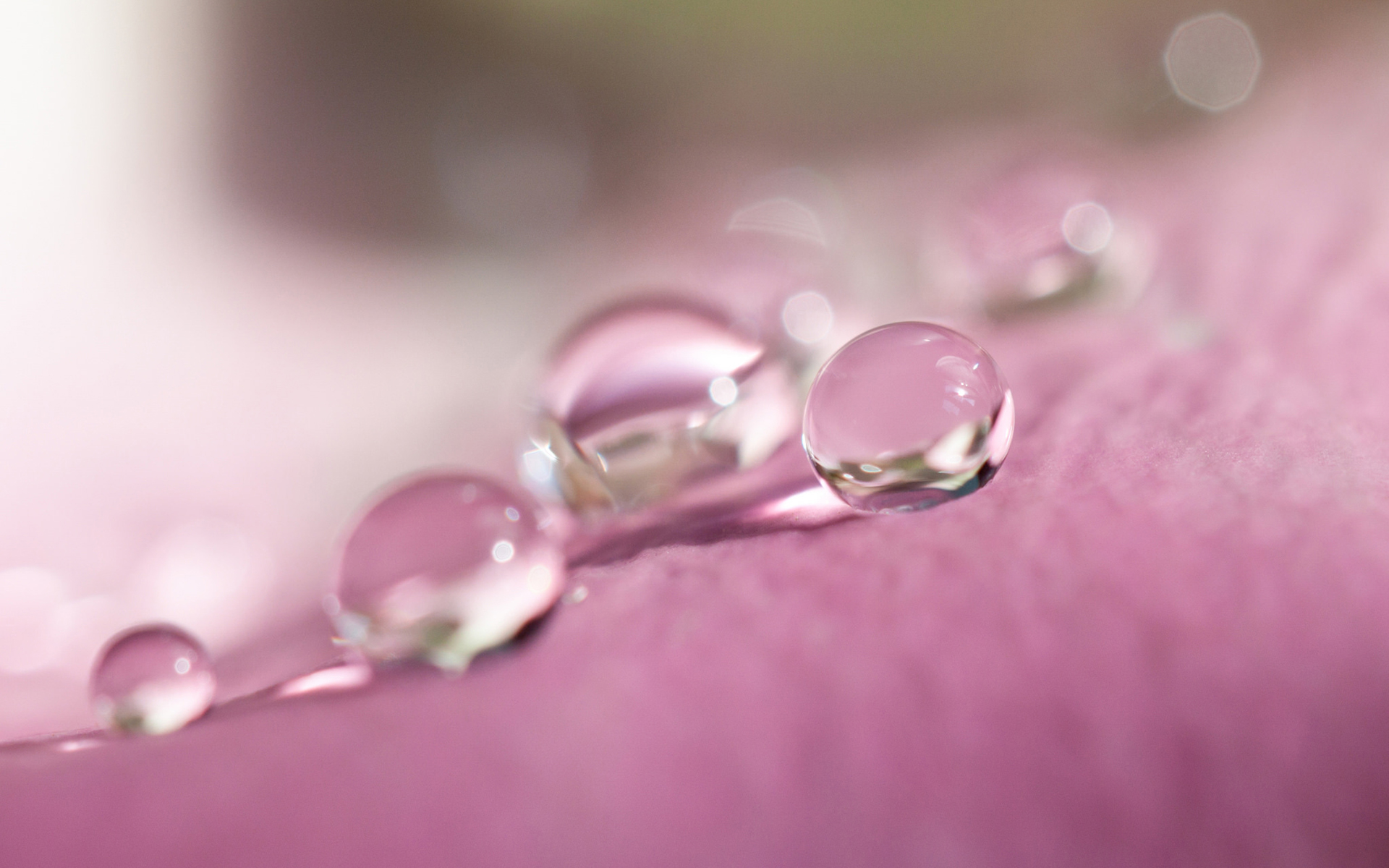Nature Water Drop HD Wallpaper