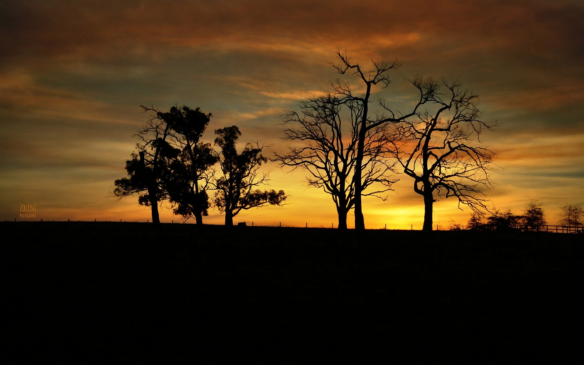 Download Silhouette Tree Nature Sunset HD Wallpaper