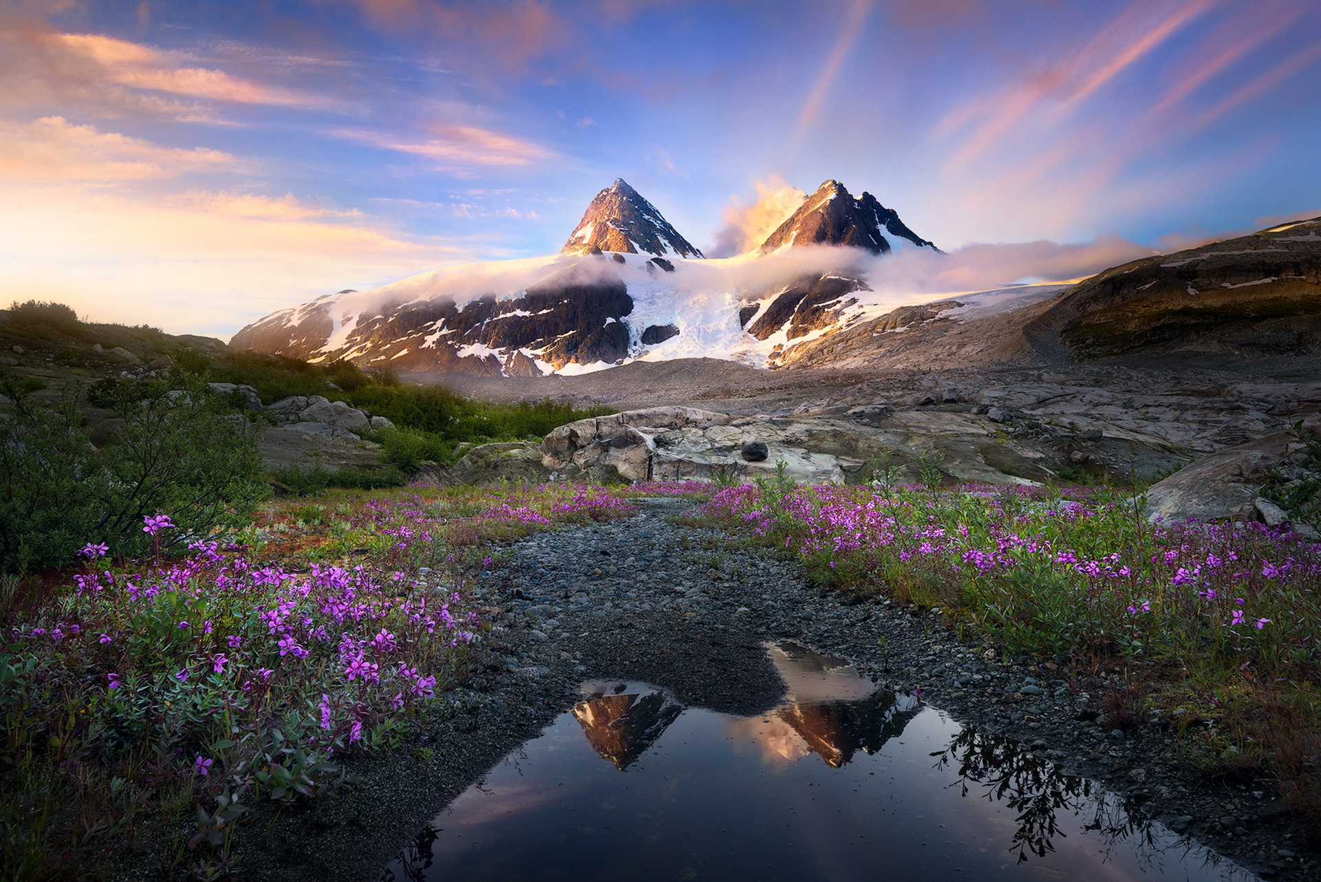 Download Landscape Purple Flower Nature Reflection Peak Mountain HD ...