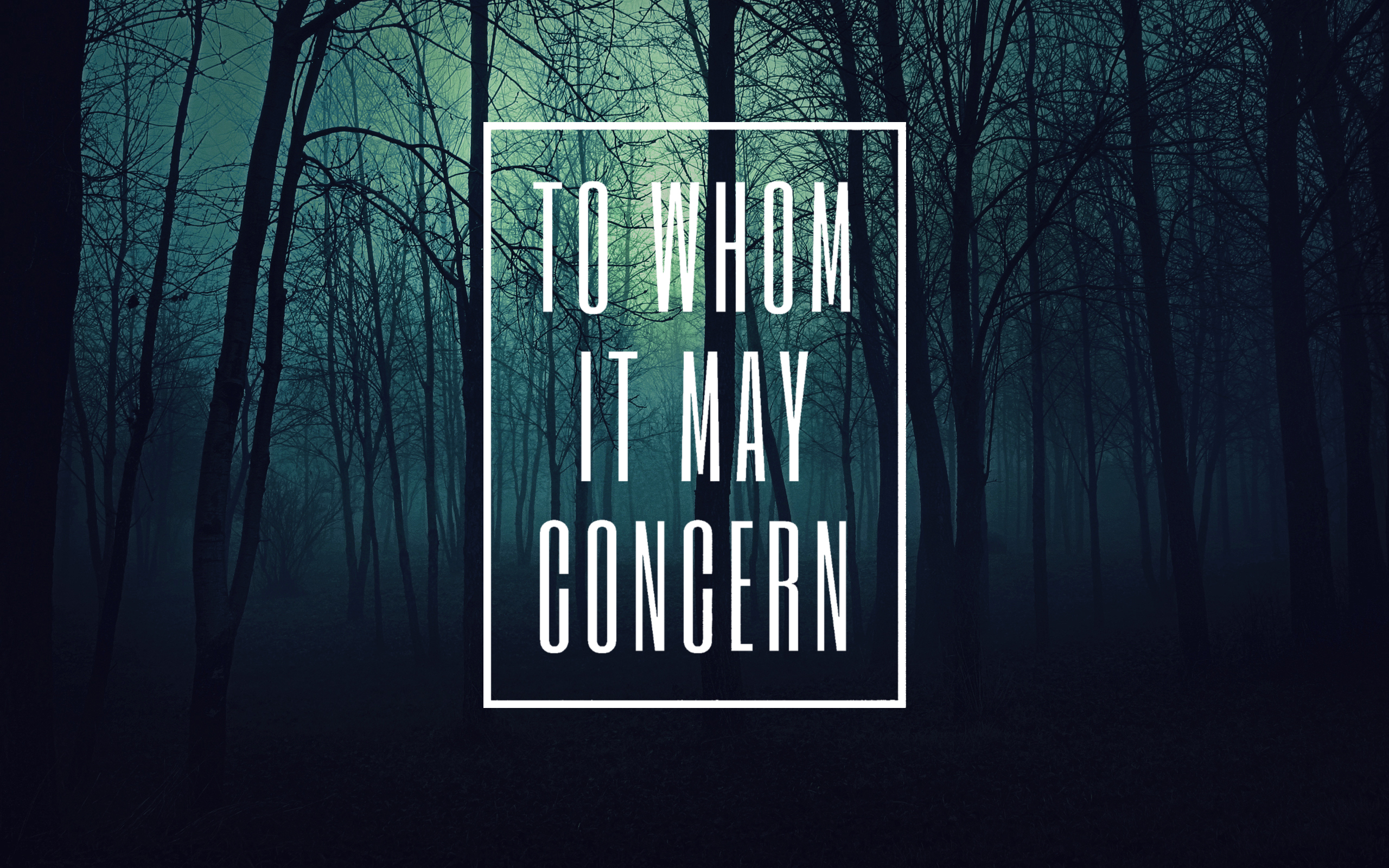 Statement Wallpaper Can