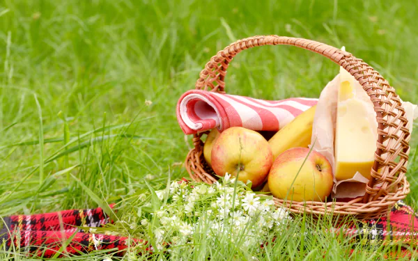 Download Food Picnic 4k Ultra HD Wallpaper