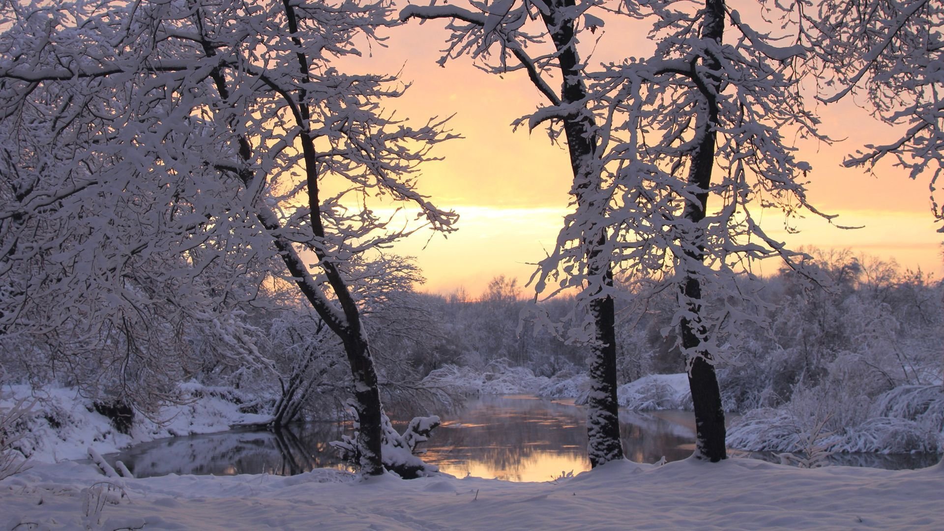 Snow-Kissed Trees at Winter Sunset — HD Nature Wallpaper | 1920x1080 ...